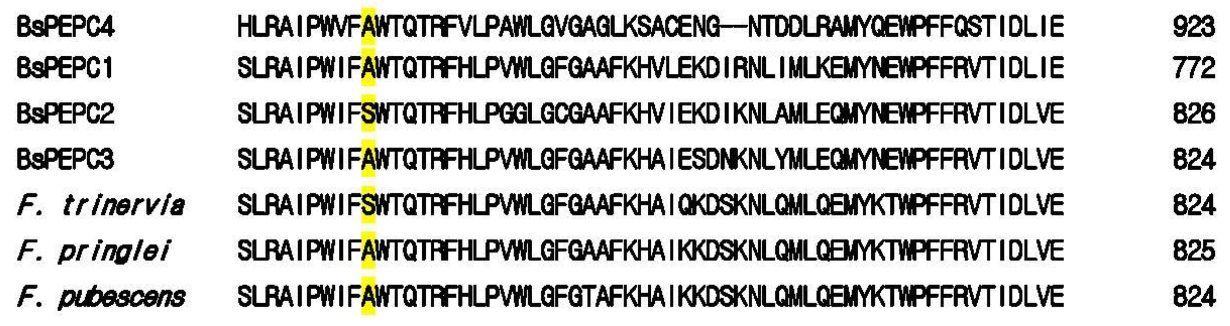 Differential Expression, Tissue-Specific Distribution, and ...