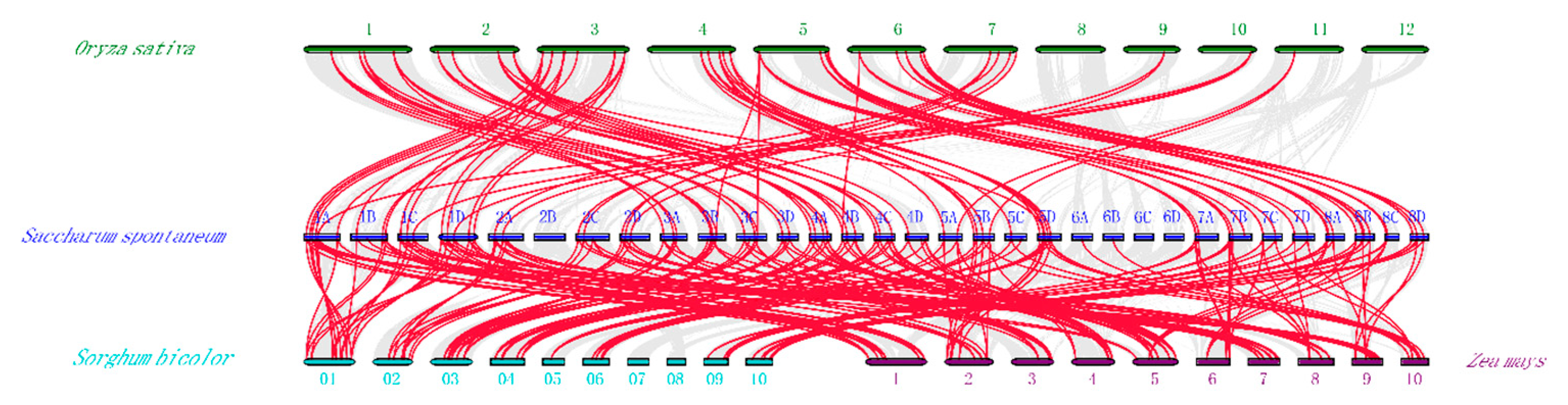 Genome-Wide Identification of the PP2C Gene Family and Analyses with ...