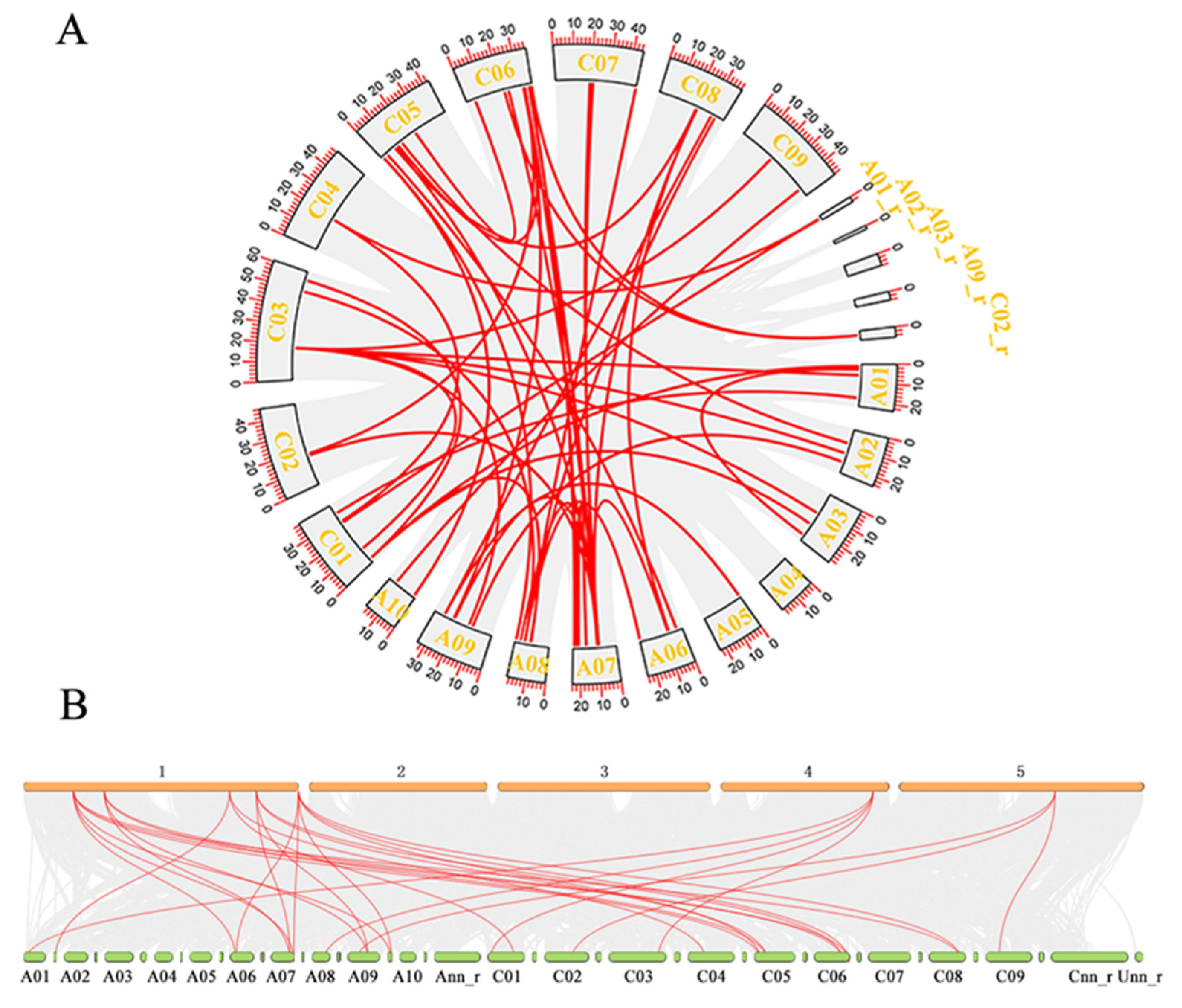 Identification and Expression Analysis of DFR Gene Family in Brassica ...