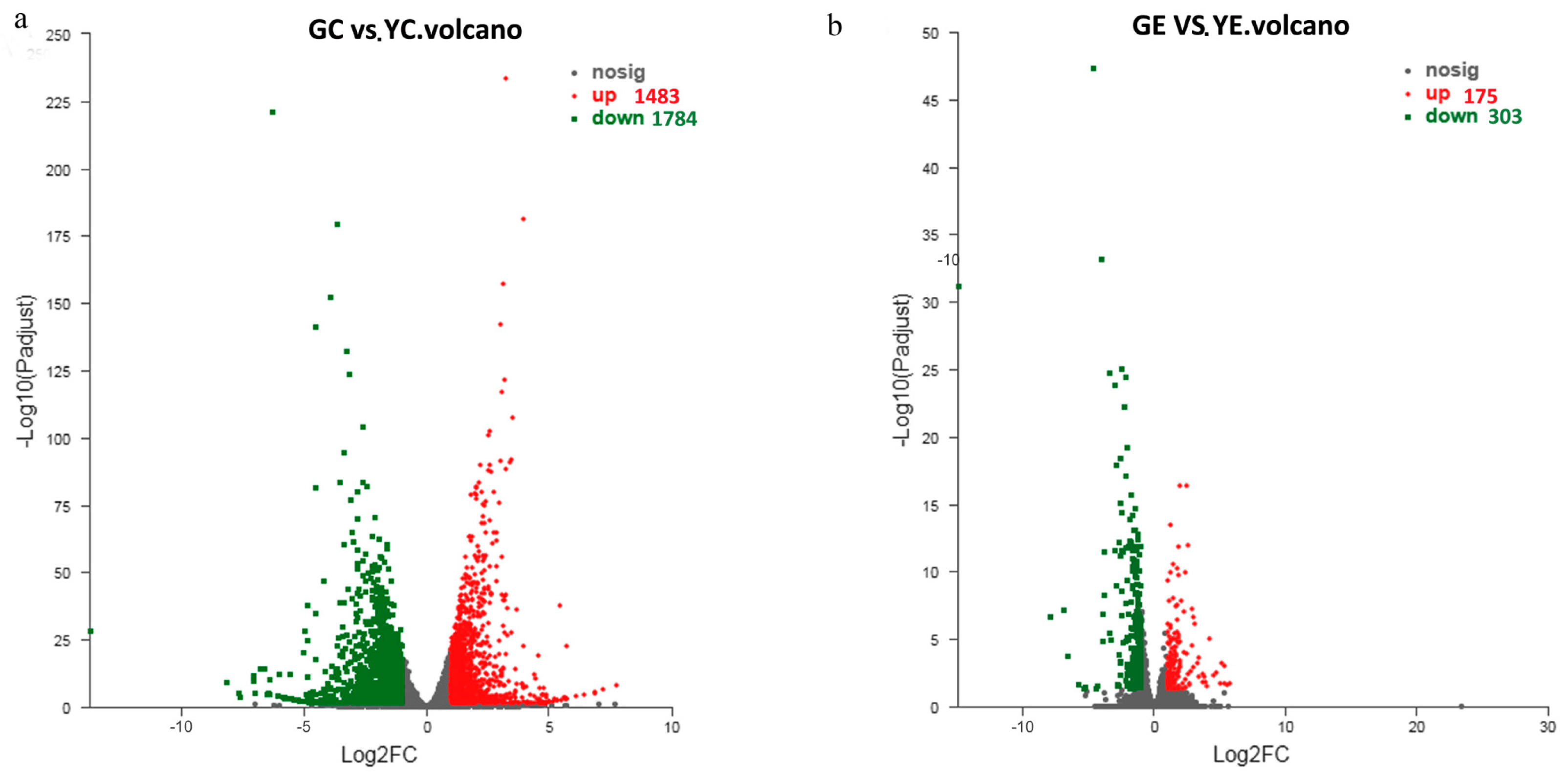 Cytological, Physiological, and Transcriptomic Analyses of the Leaf ...