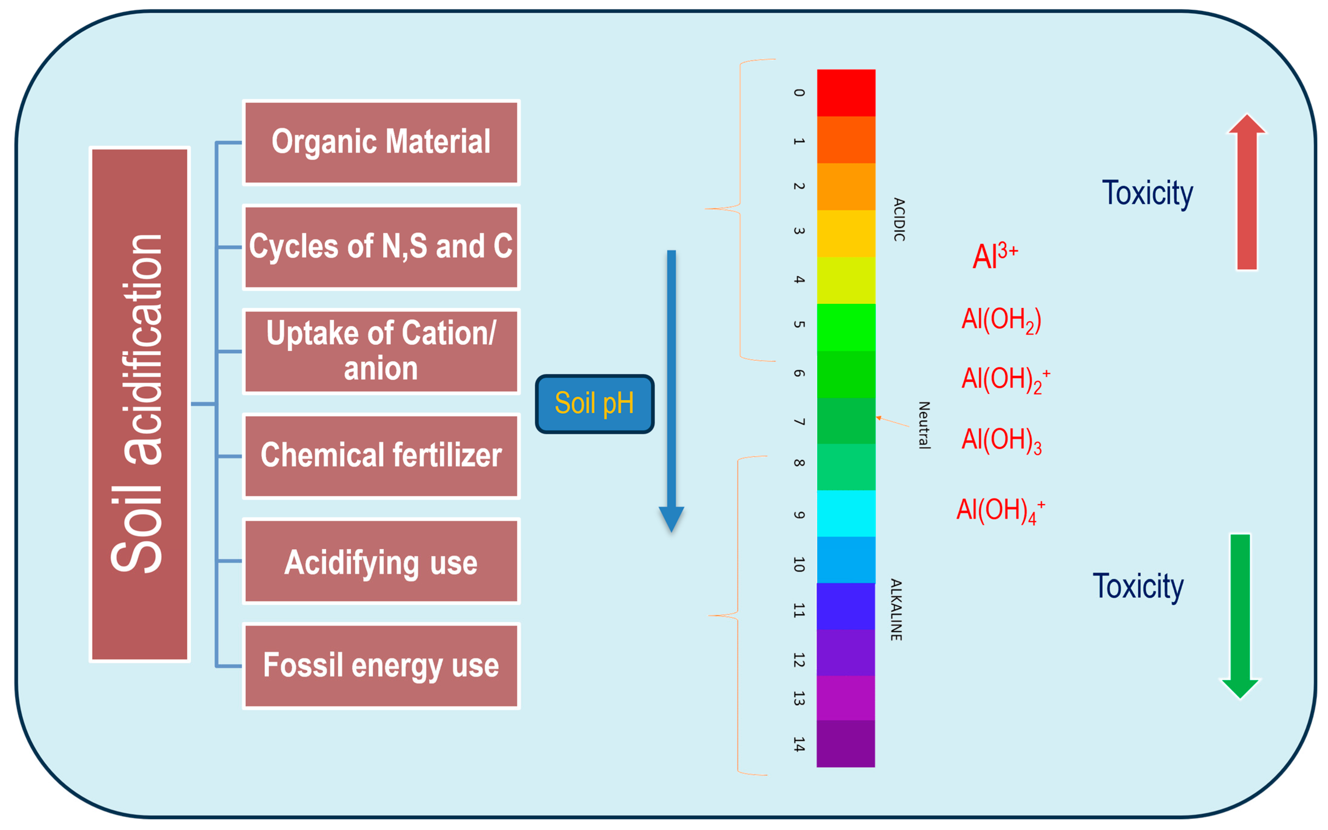 Exploring Aluminum Tolerance Mechanisms in Plants with Reference to ...