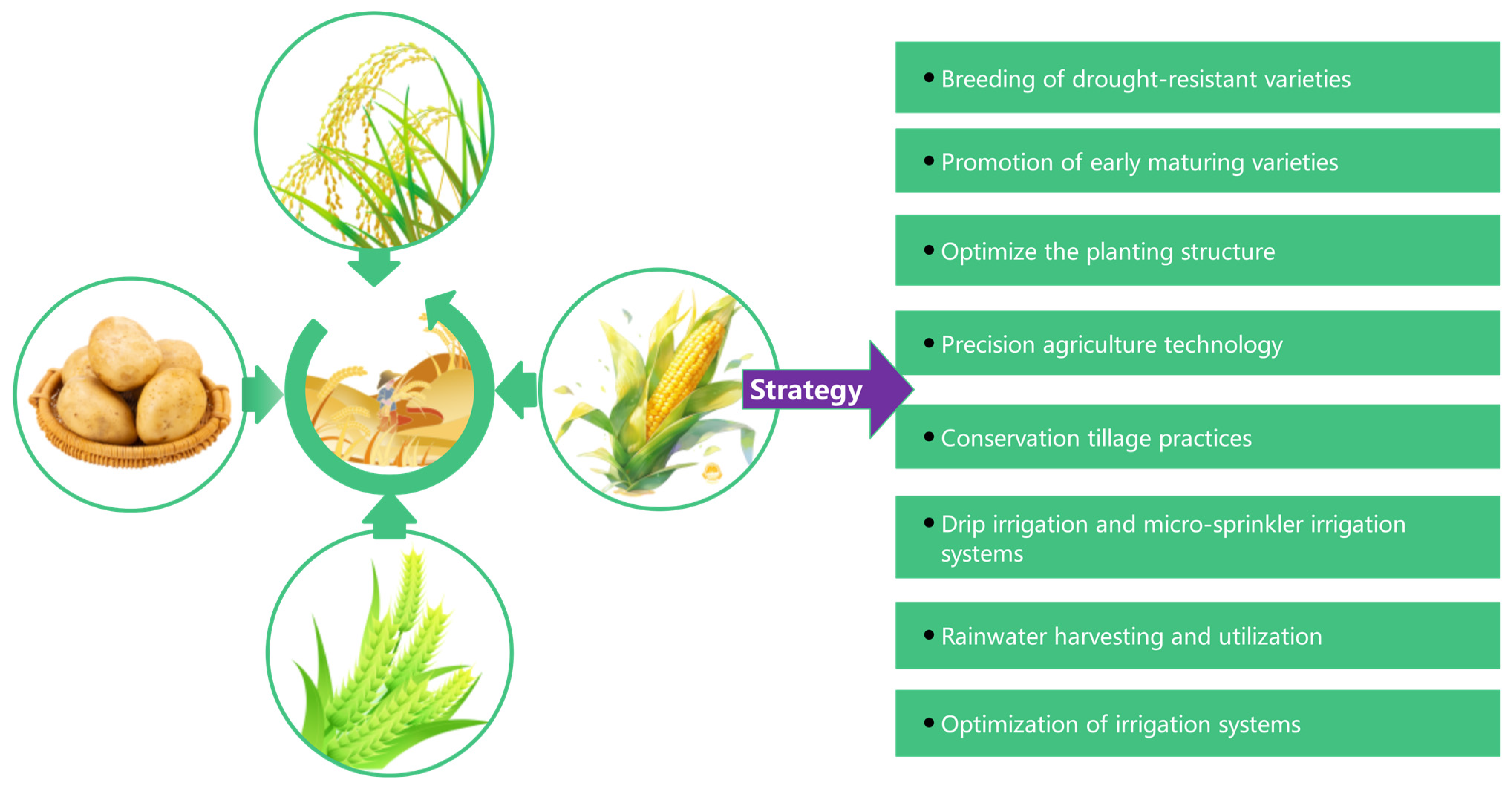 Precision Agriculture and Water Conservation Strategies for Sustainable ...