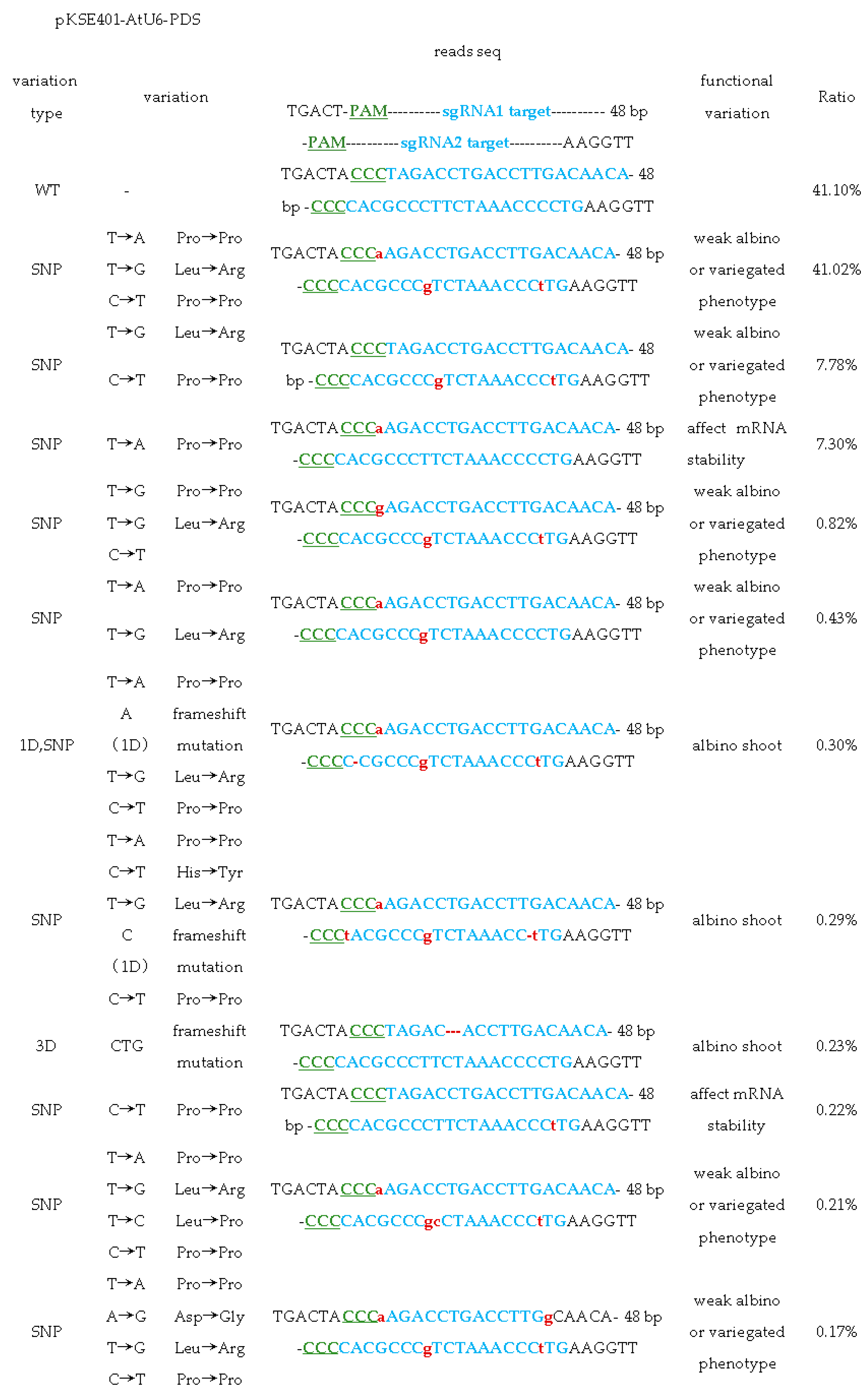 A Truncated Endogenous U6 Promoter Enables High-Efficiency CRISPR ...