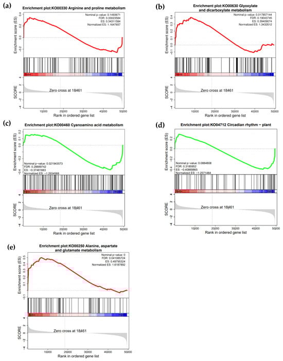 Integrative Physiological and Transcriptomic Analysis Reveals Metabolic ...