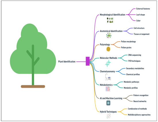 Chemotaxonomy, an Efficient Tool for Medicinal Plant Identification ...