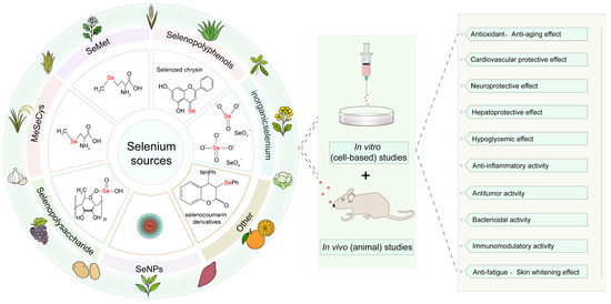 Selenium Compounds and Their Bioactivities: Molecular Mechanisms and ...