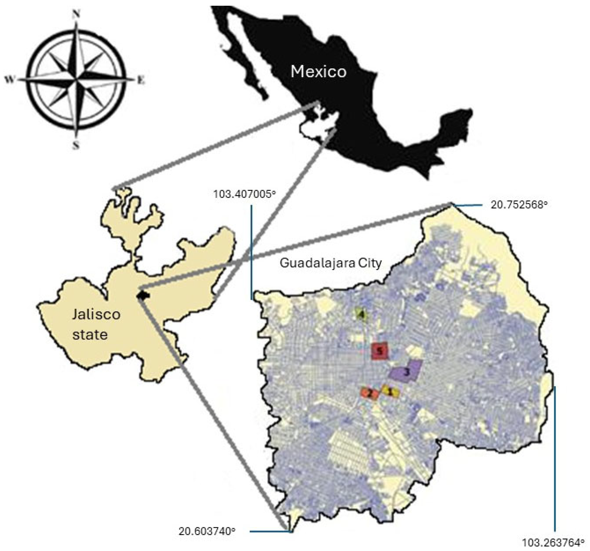 Ethnobotany in a Modern City: The Persistence in the Use of Medicinal ...