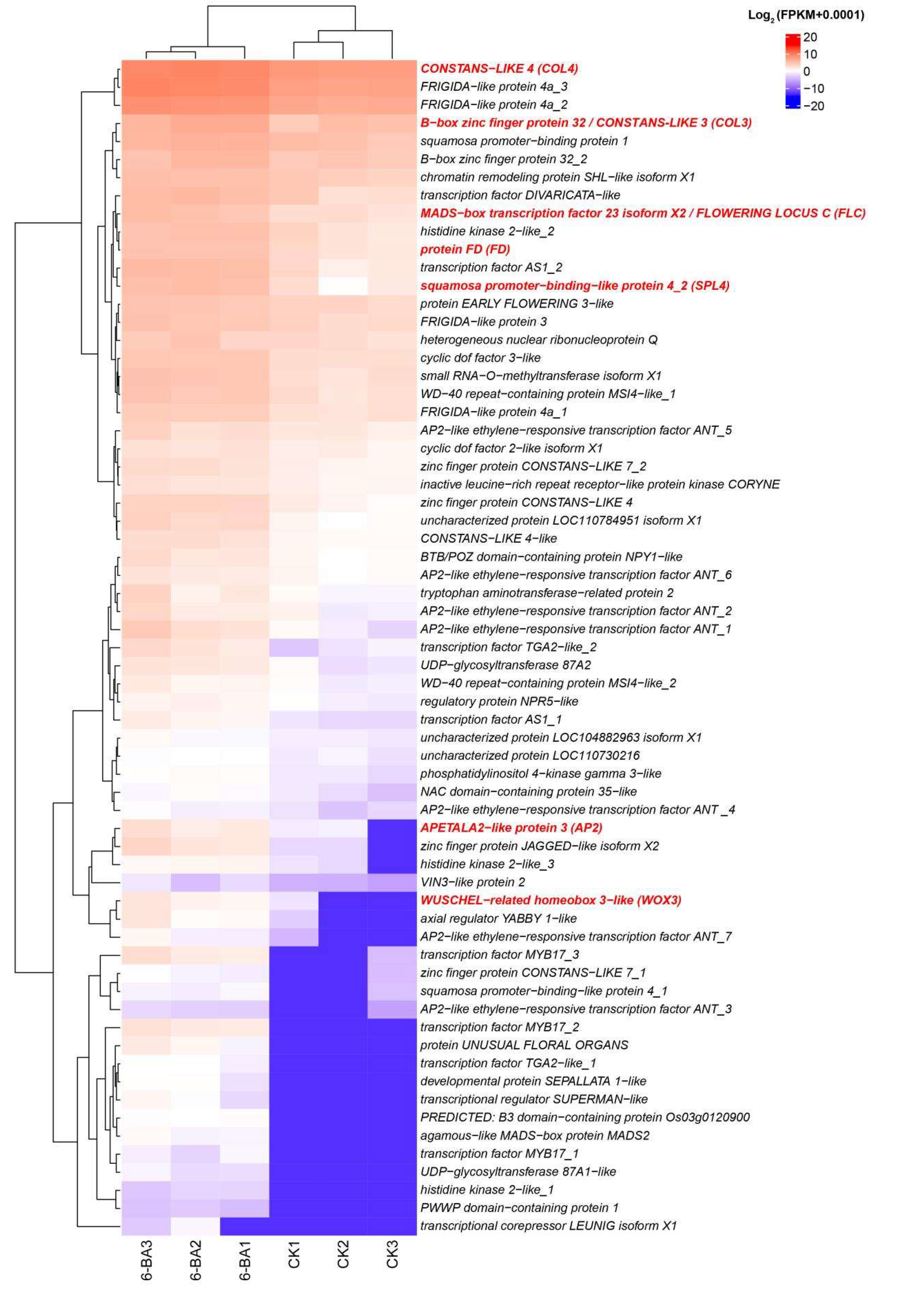 Comparative Transcriptome Analysis Provides Insight into the Effect of ...