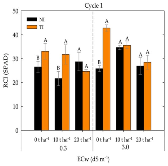 Cattle Manure Fertilizer and Biostimulant Trichoderma Application to ...