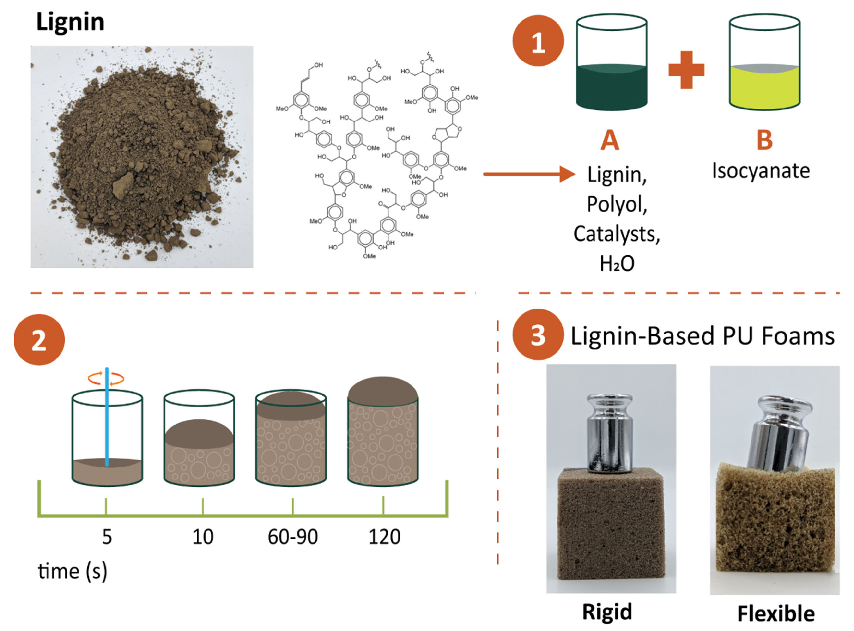 Lignin-Based Polyurethanes: Opportunities for Bio-Based Foams, Elastomers, Coatings and ...