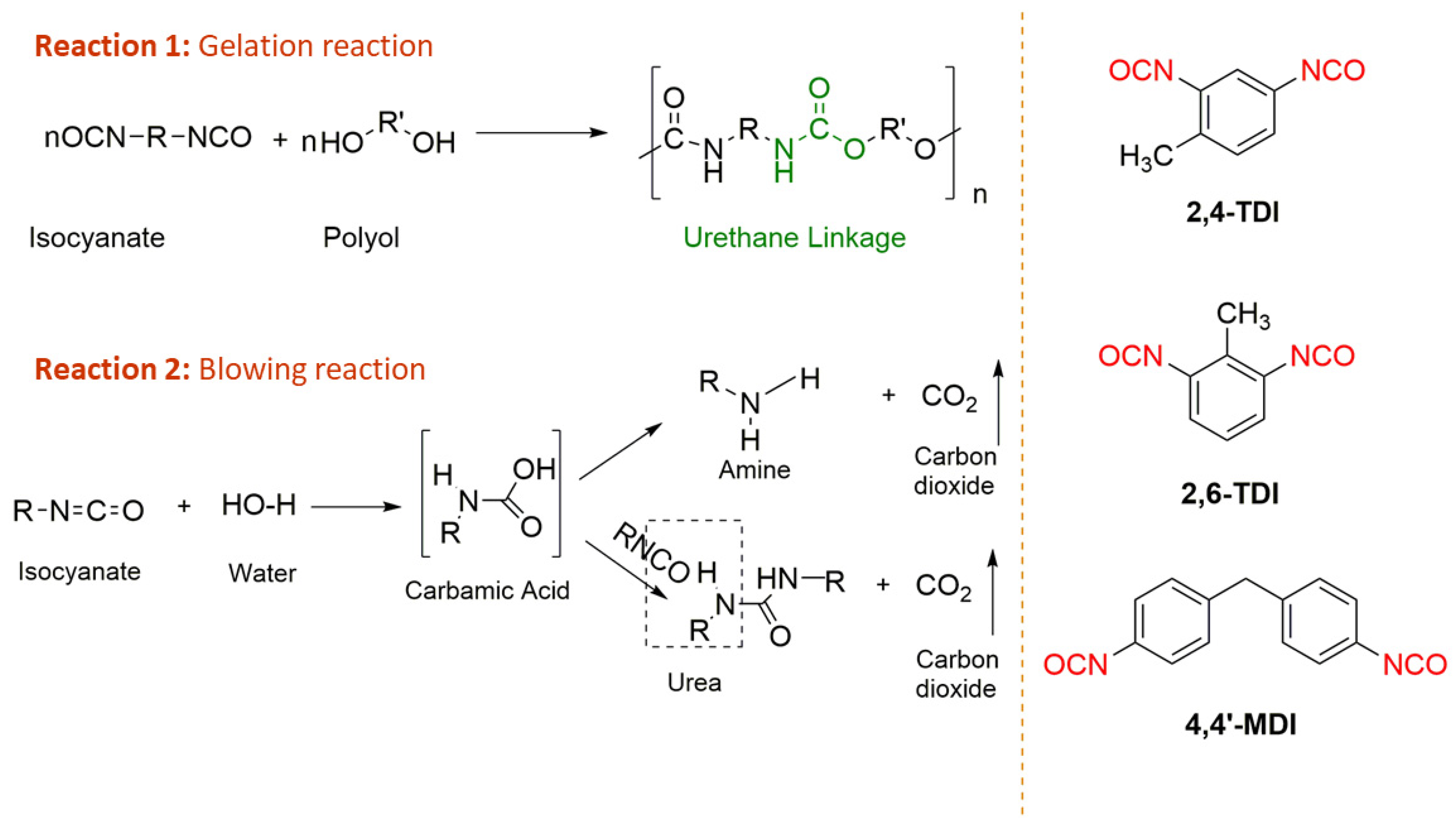 Lignin-Based Polyurethanes: Opportunities for Bio-Based Foams, Elastomers, Coatings and ...