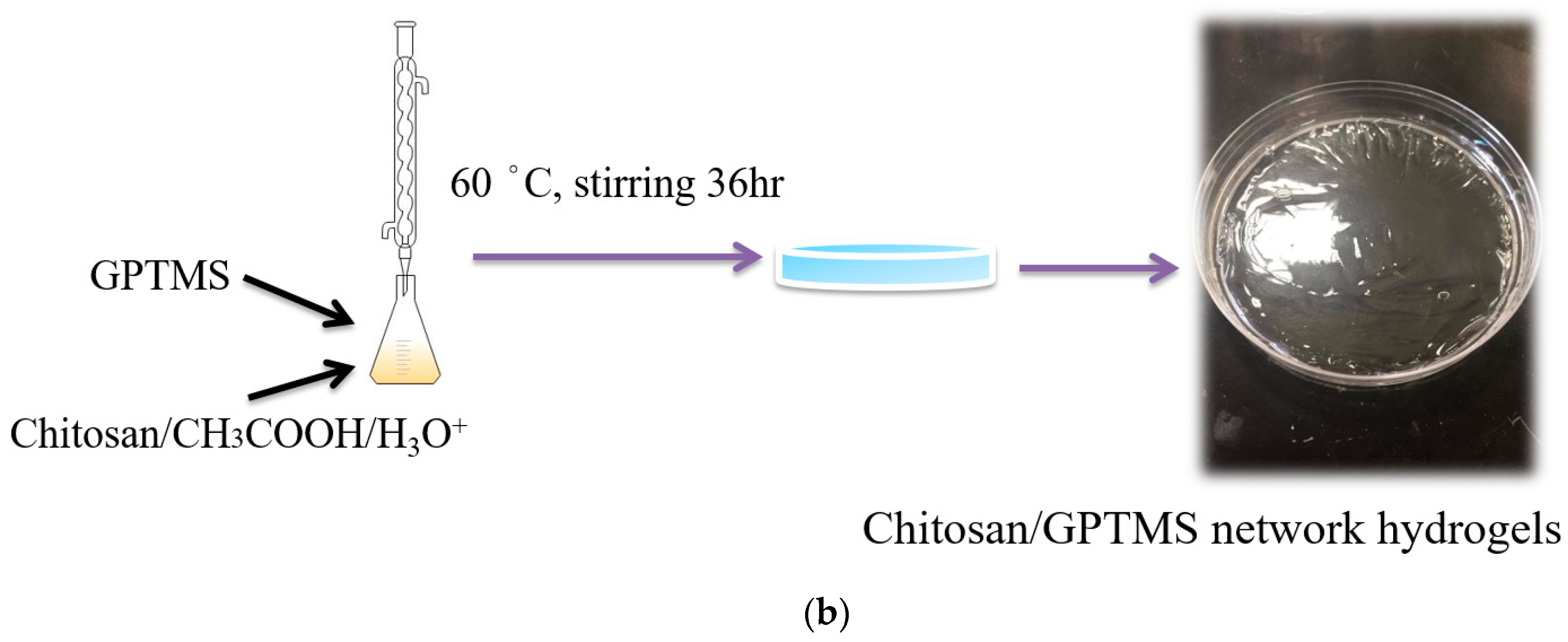 Preparation and Characterization of pH Sensitive Chitosan/3 ...