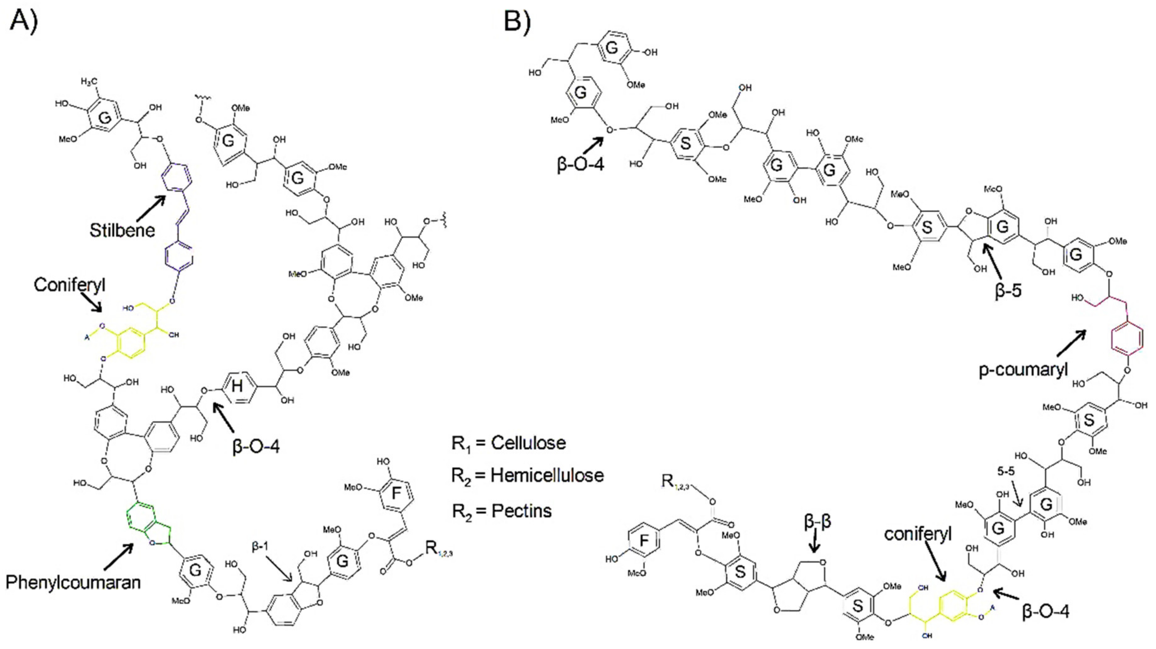 Fluorescence Microscopy Methods for the Analysis and Characterization ...