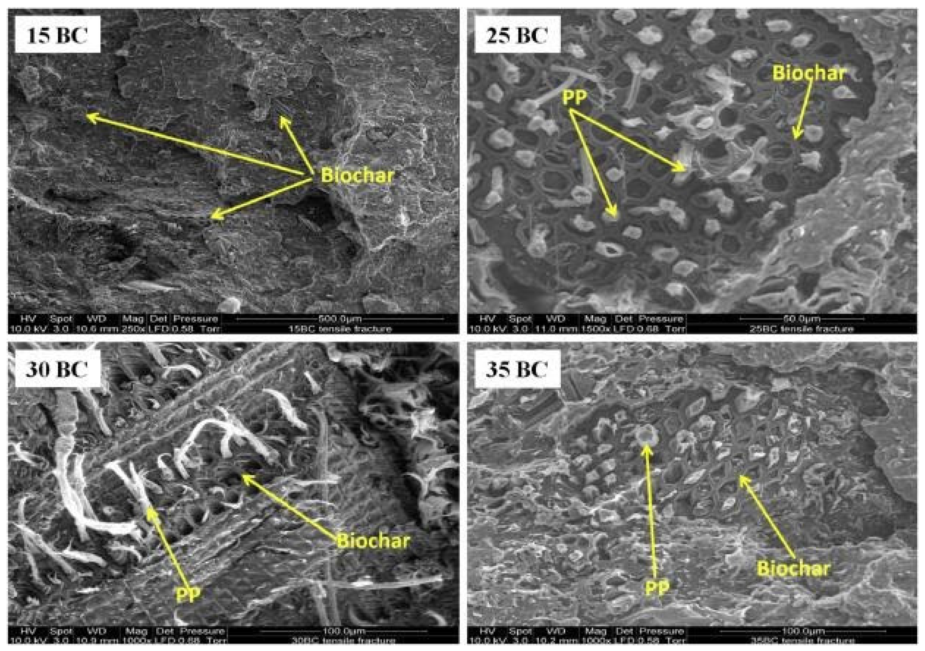 Recent Advances in Biochar Polymer Composites | MDPI