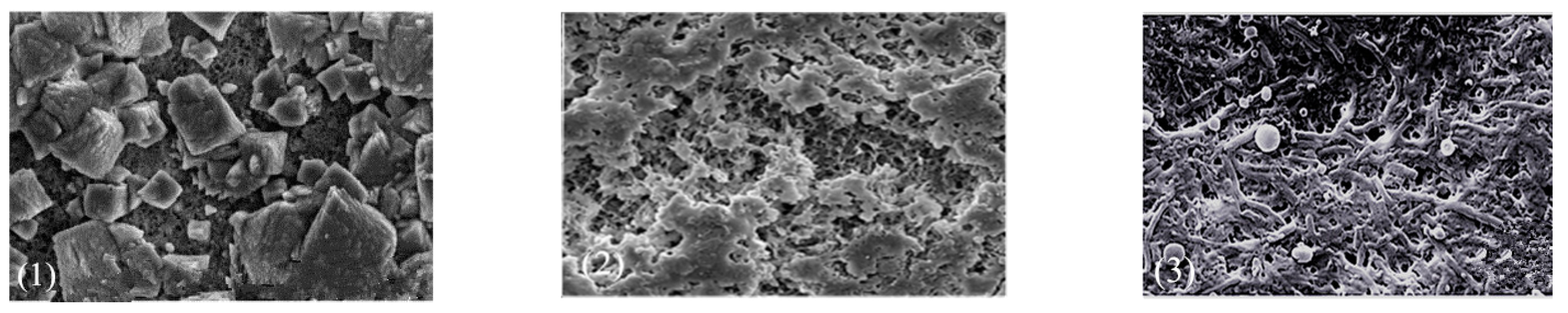 Fluoropolymer Membranes for Membrane Distillation and Membrane ...