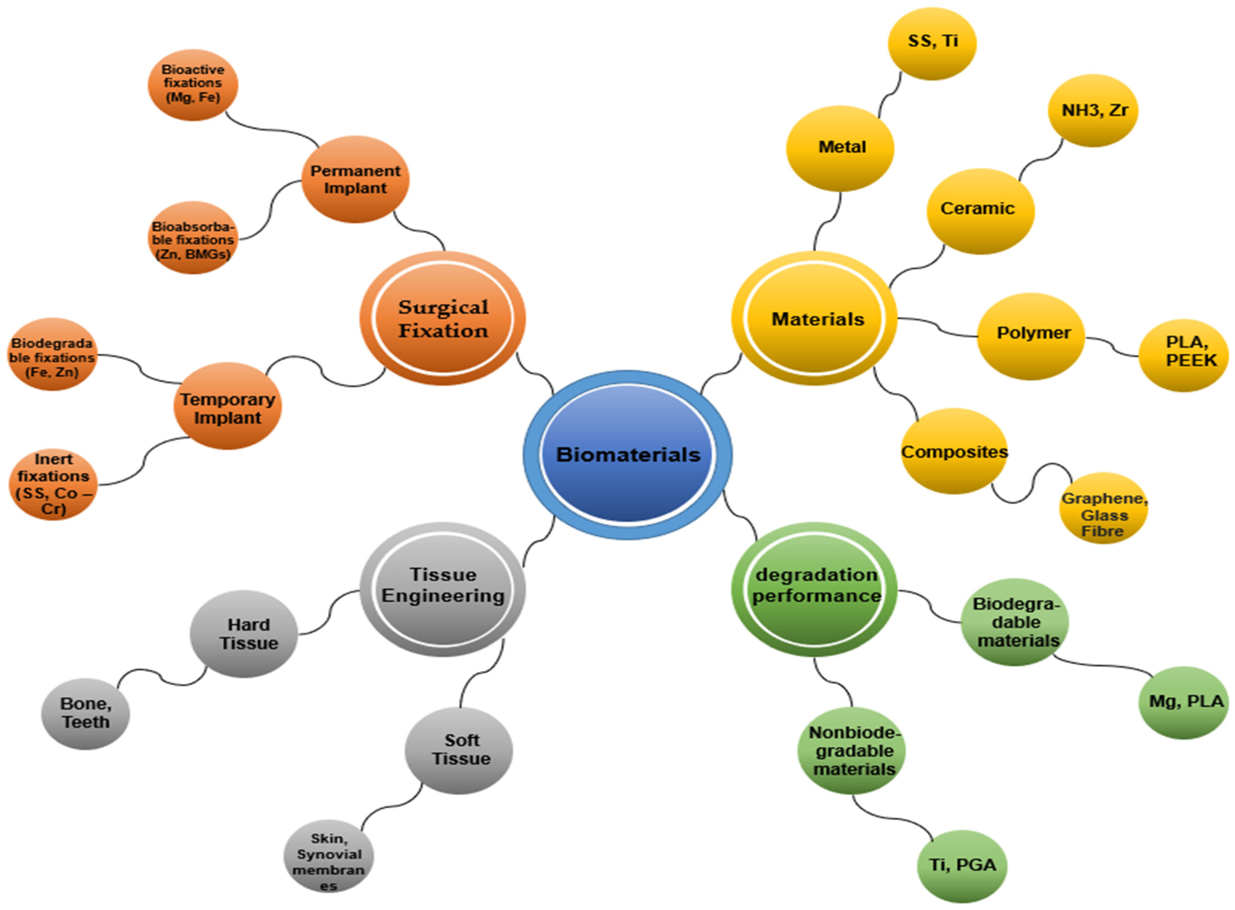 Biomaterials as Implants in the Orthopedic Field for Regenerative ...