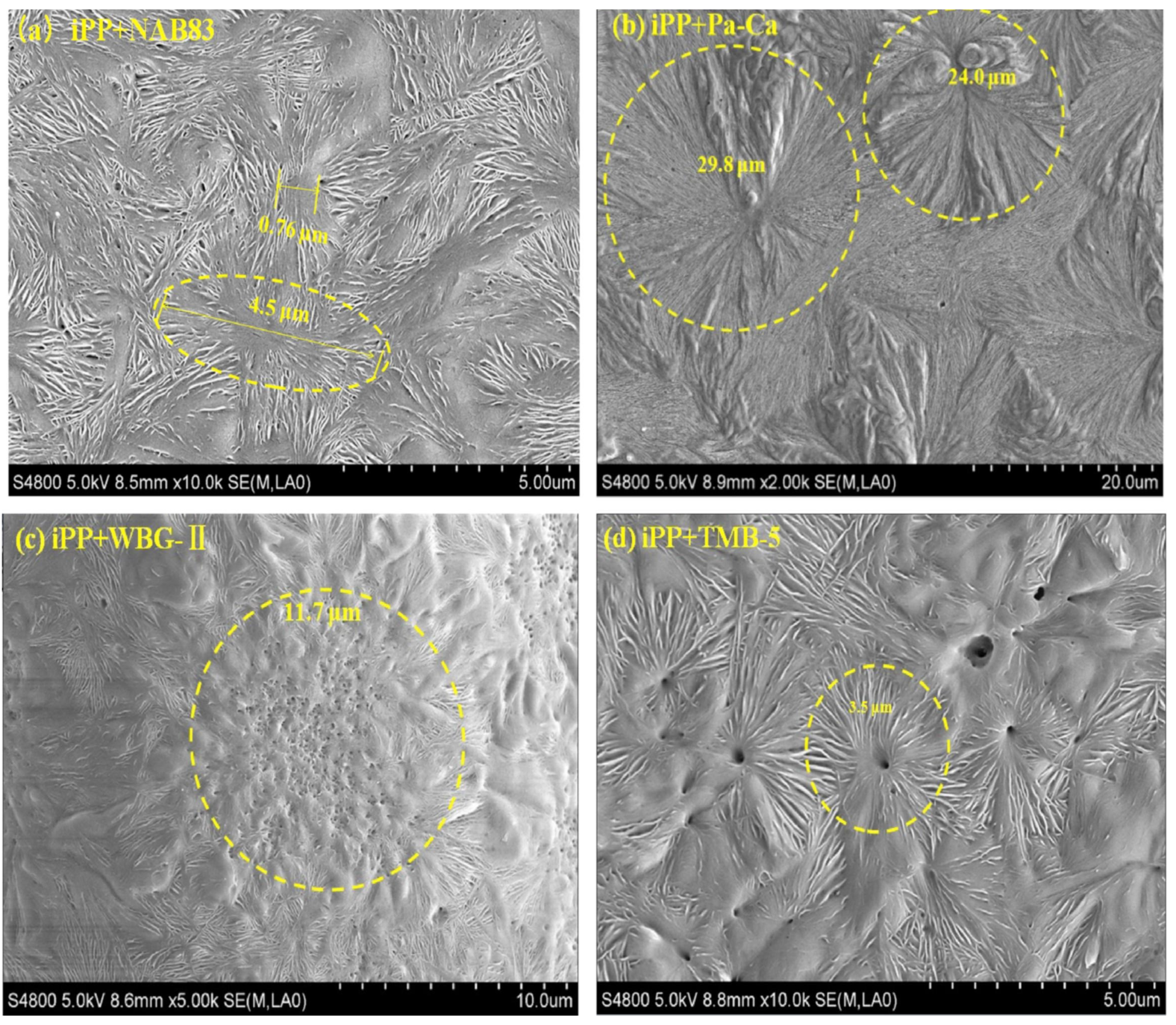 β-Nucleated Polypropylene: Preparation, Nucleating Efficiency ...