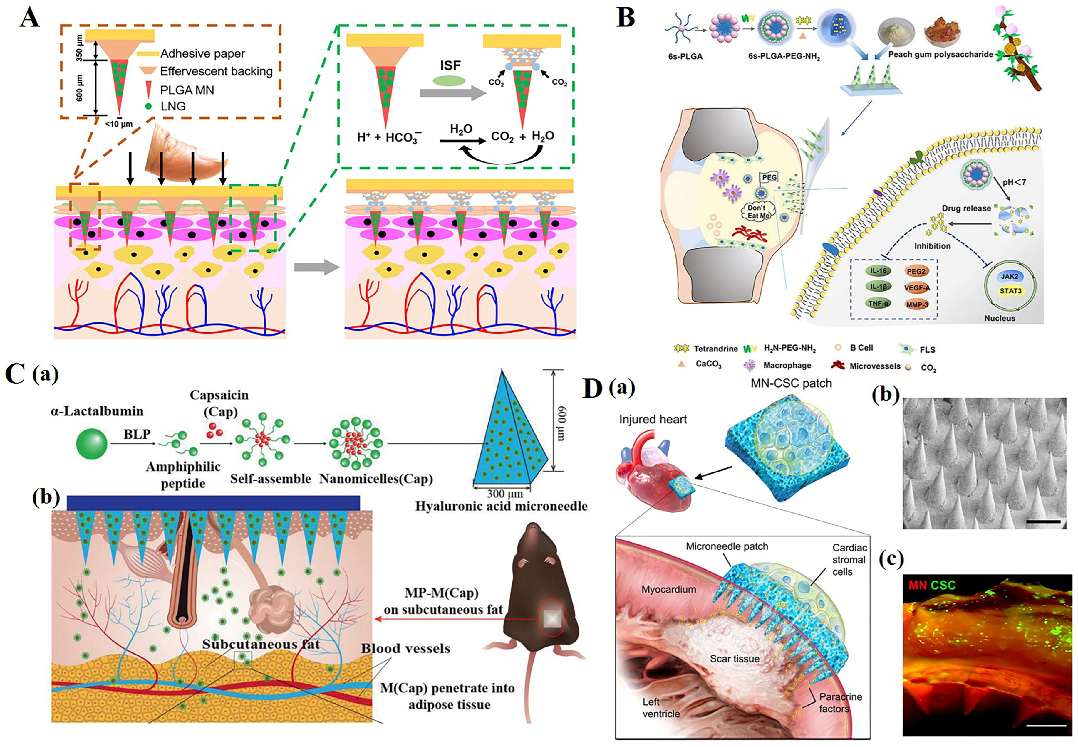 The Progress in the Application of Dissolving Microneedles in ...