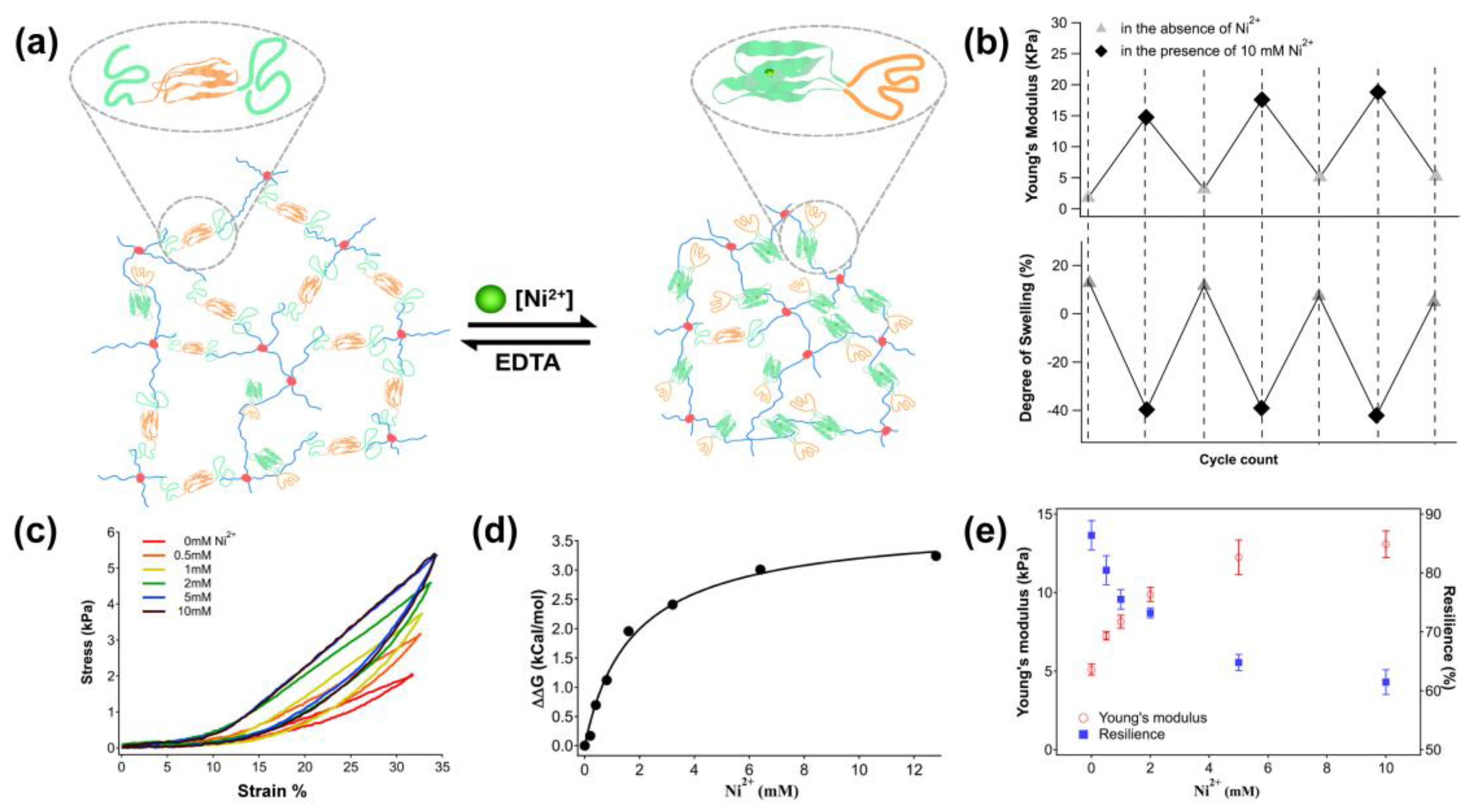 Stimuli-Responsive Protein Hydrogels: Their Design, Properties, and ...