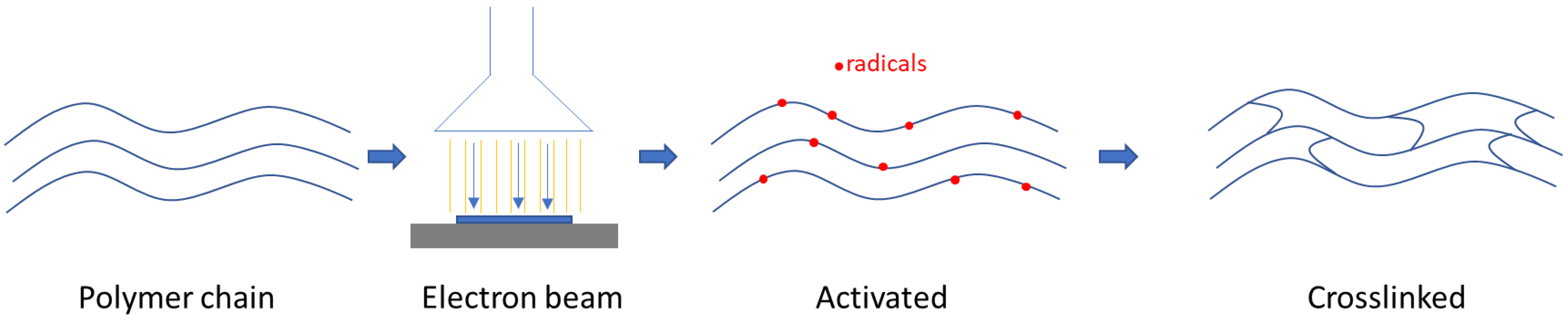 Electron-Beam-Initiated Crosslinking of Methacrylated Alginate and ...
