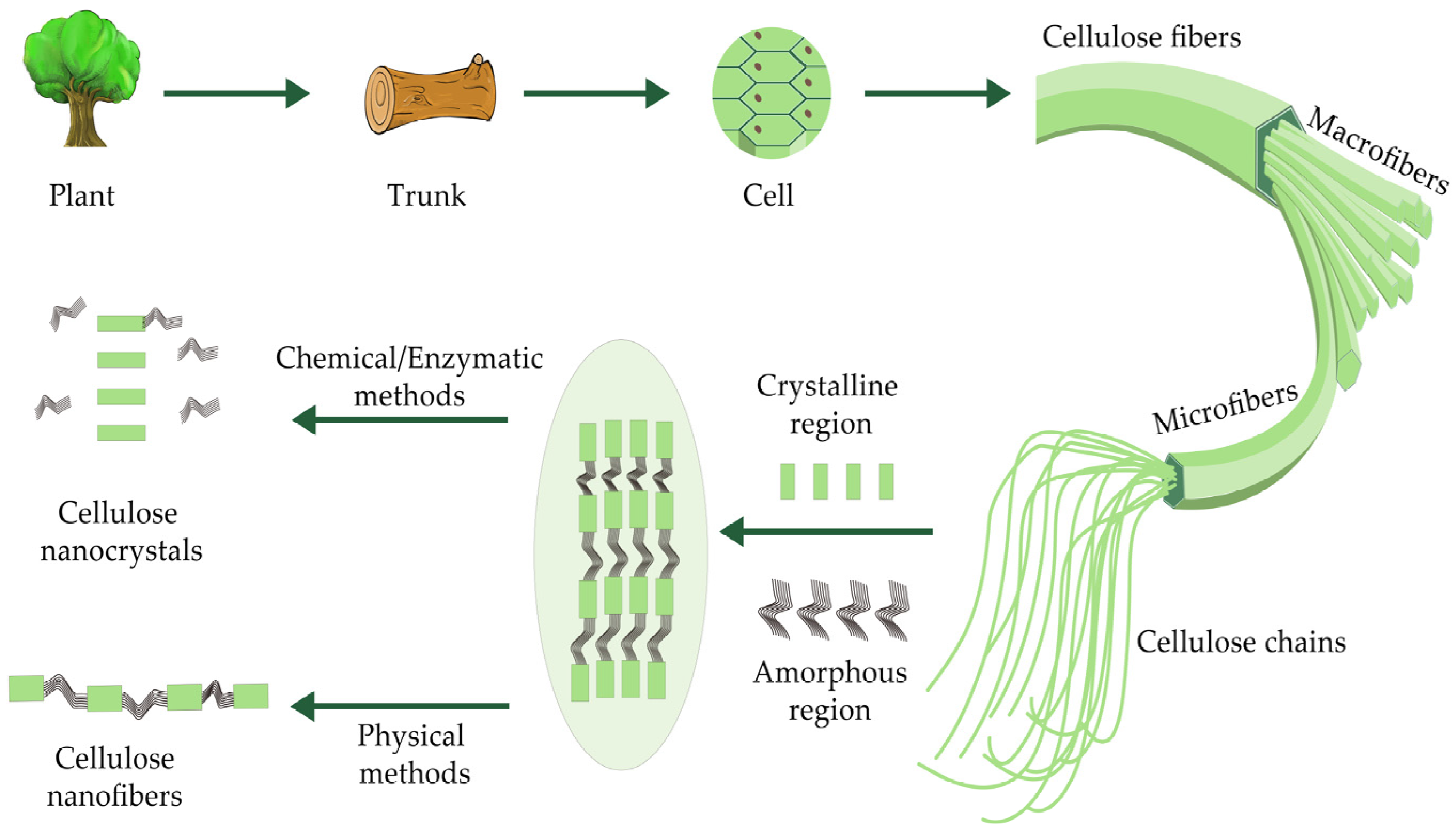 Nanocellulose Composite Films in Food Packaging Materials: A Review | MDPI