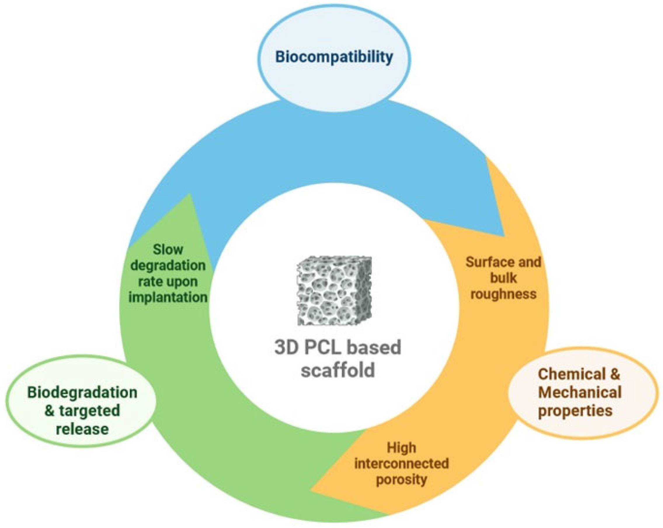 New Generation of Osteoinductive and Antimicrobial Polycaprolactone ...