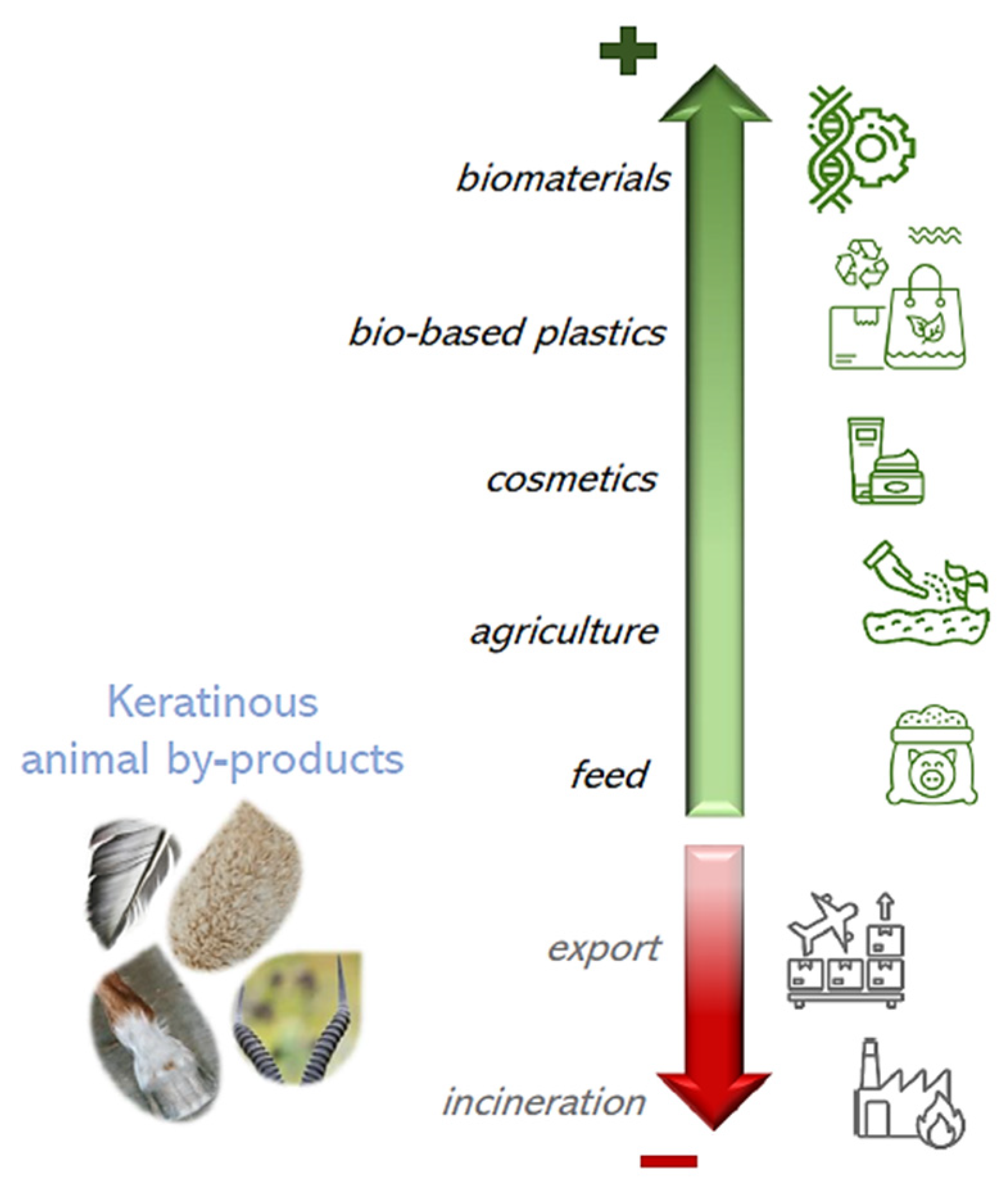 Keratin from Animal By-Products: Structure, Characterization ...