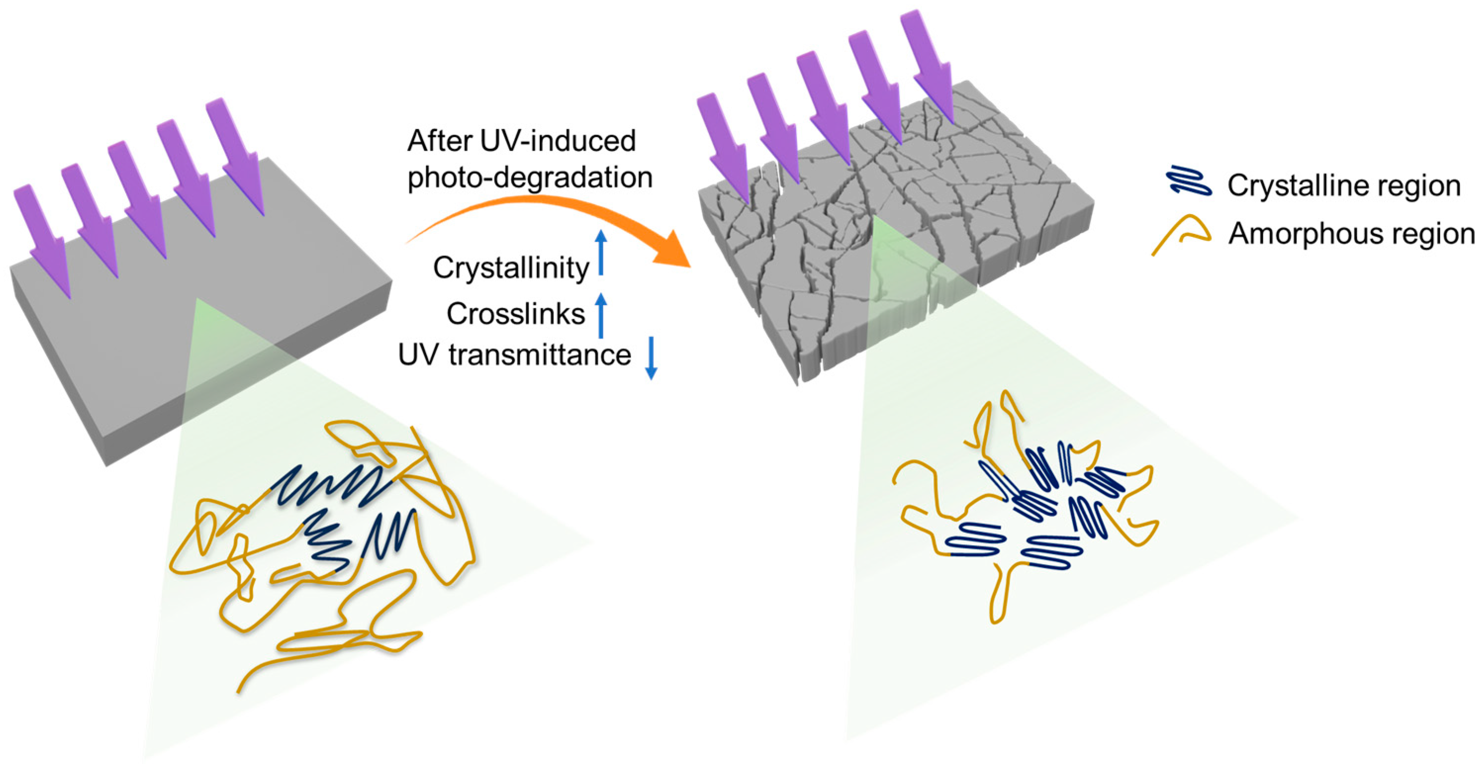 Study of Factors Affecting UV-Induced Photo-Degradation in Different ...