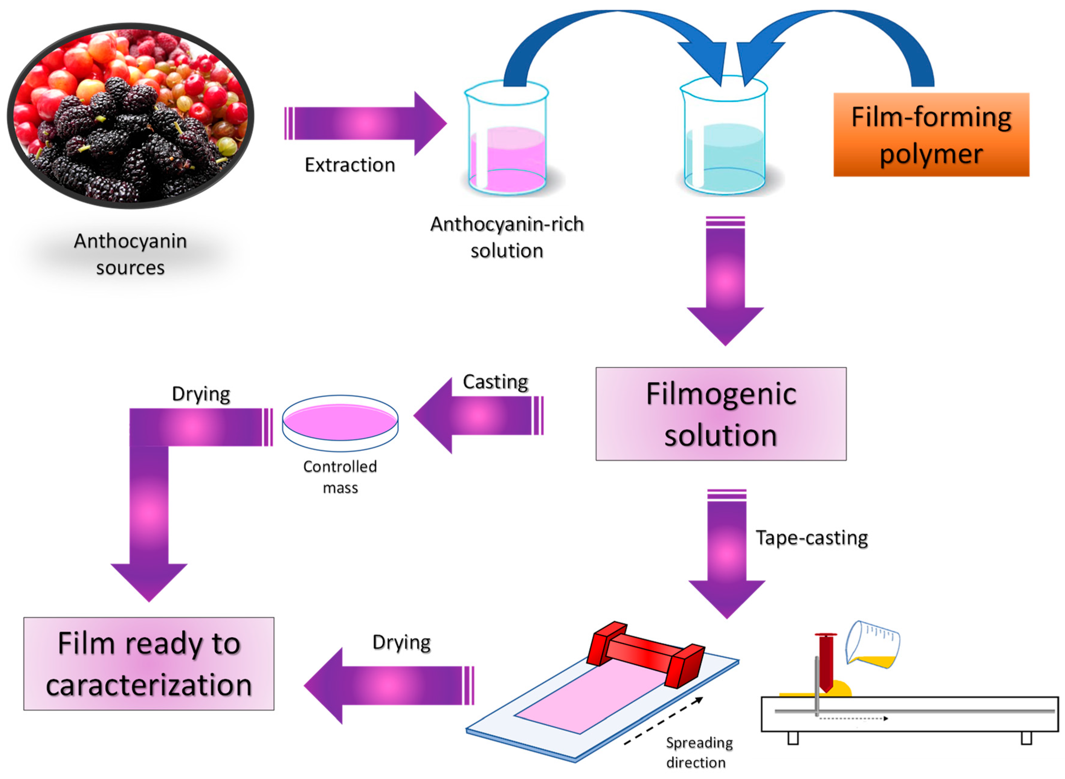Intelligent Packaging Systems with Anthocyanin: Influence of Different ...