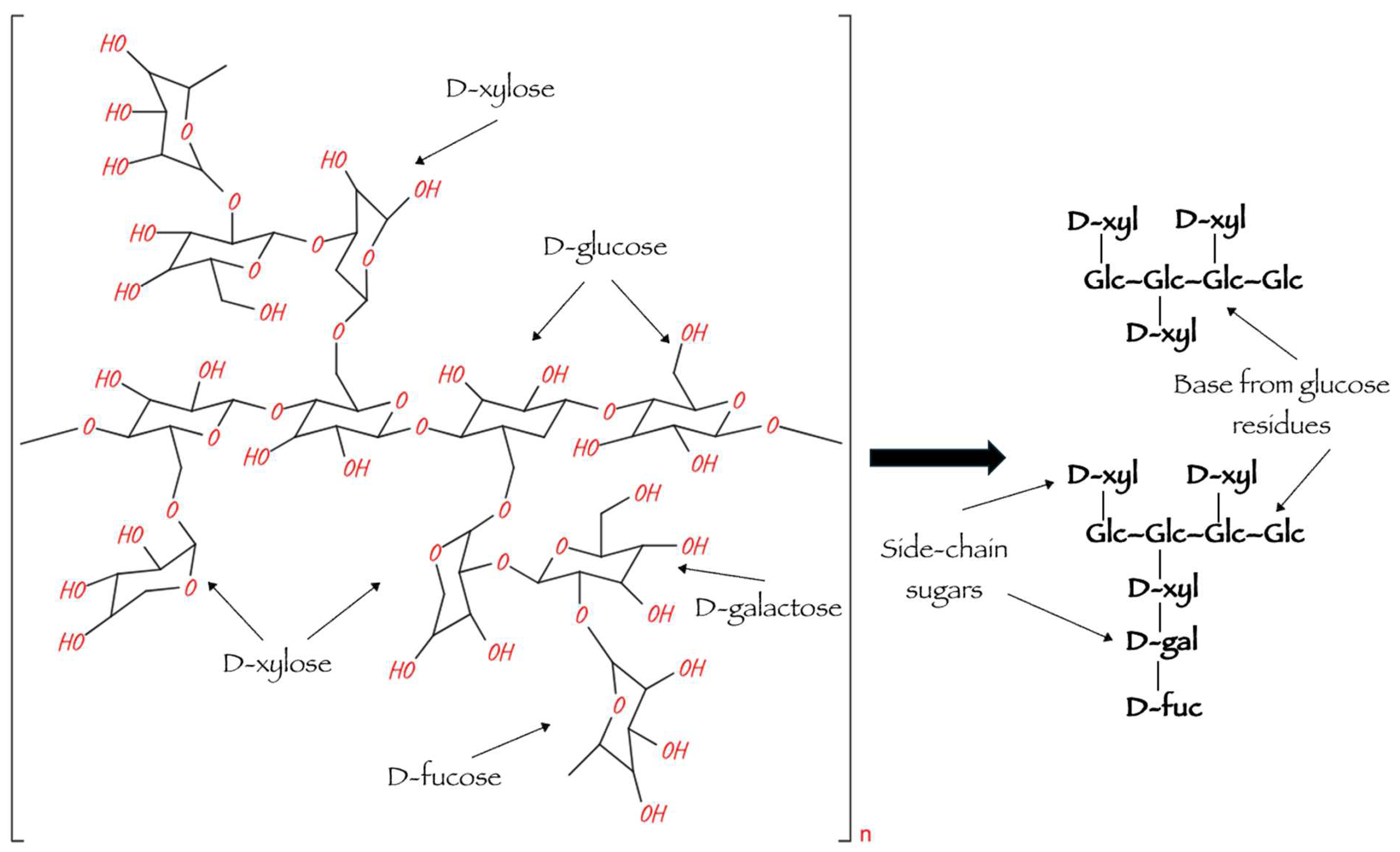 Sources and Methods for the Production of Xyloglucan, a Promising ...