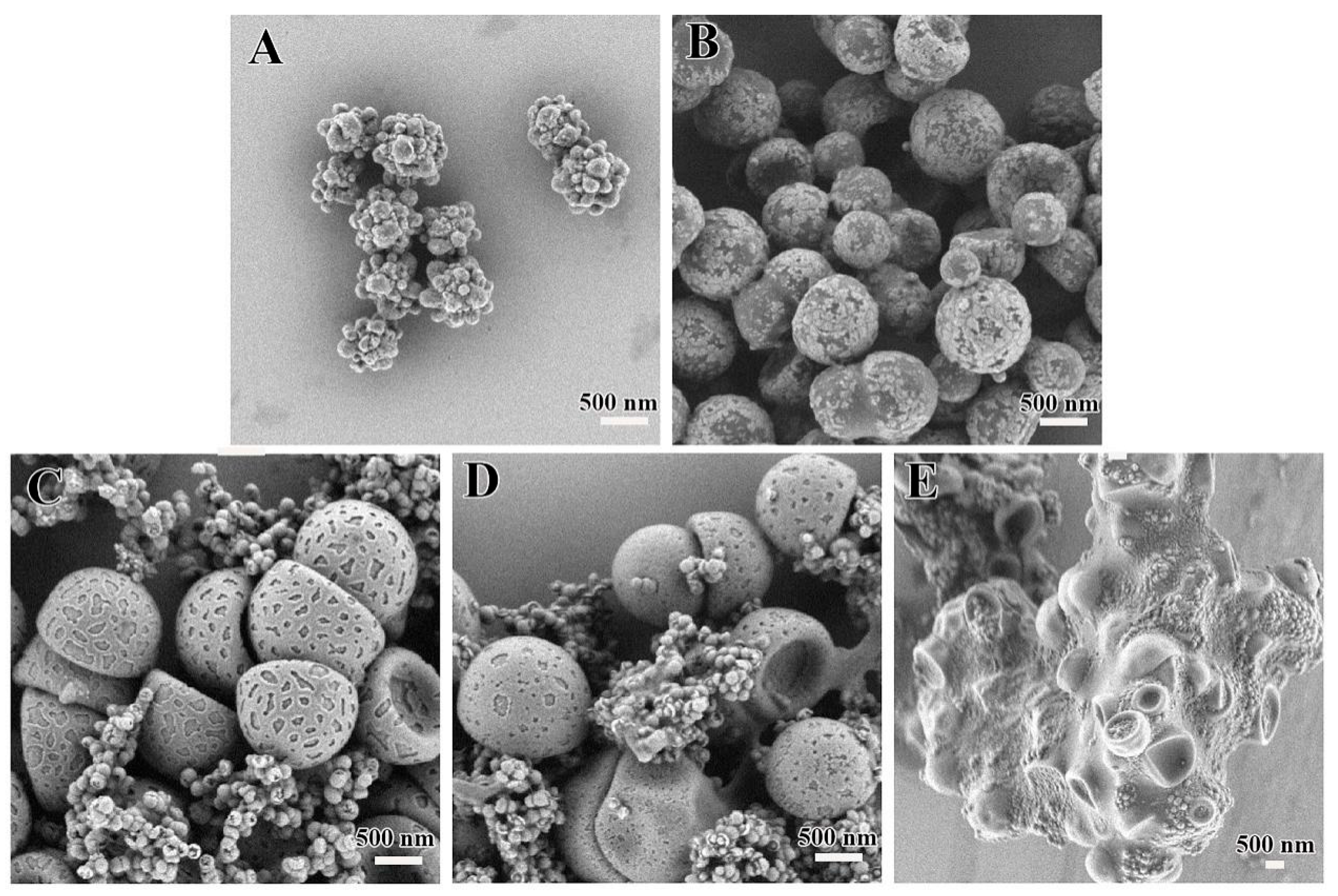 One-Step Preparation of Both Micron and Nanoparticles | MDPI