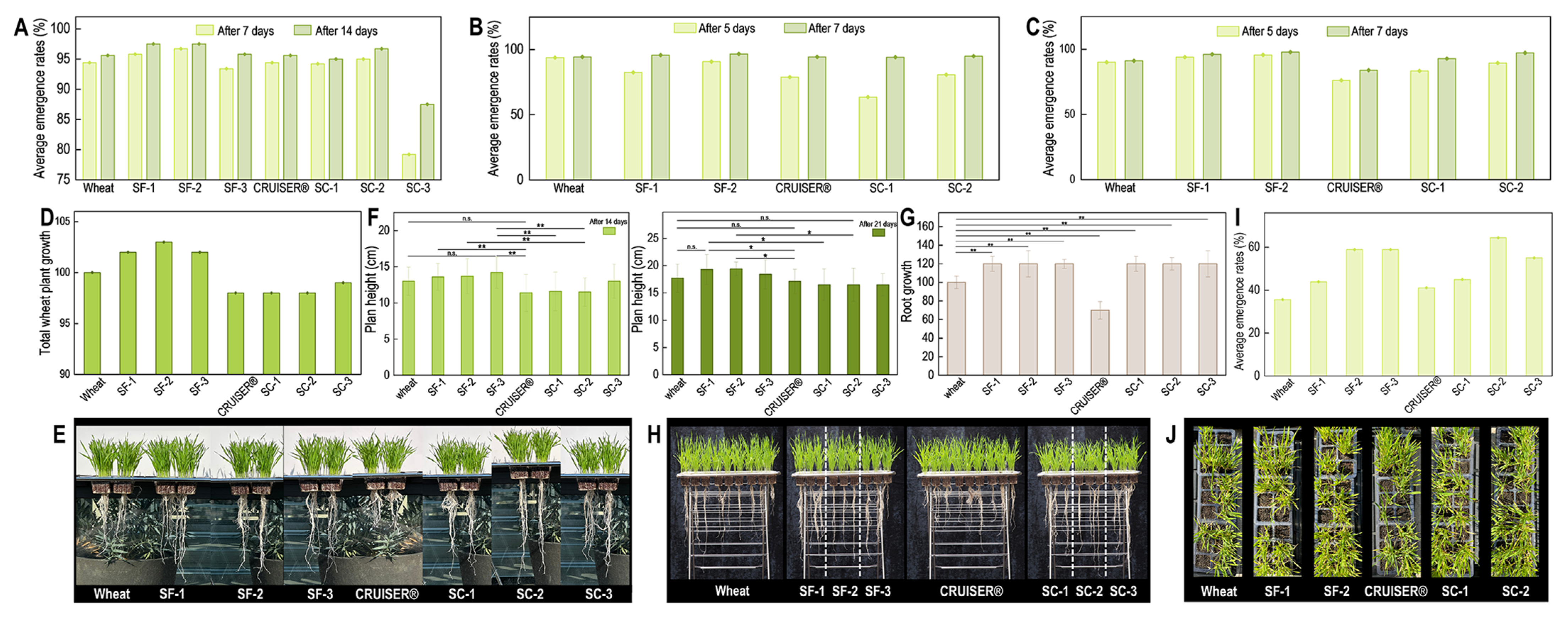 Silk Fibroin Seed Coatings: Towards Sustainable Seed Protection and ...