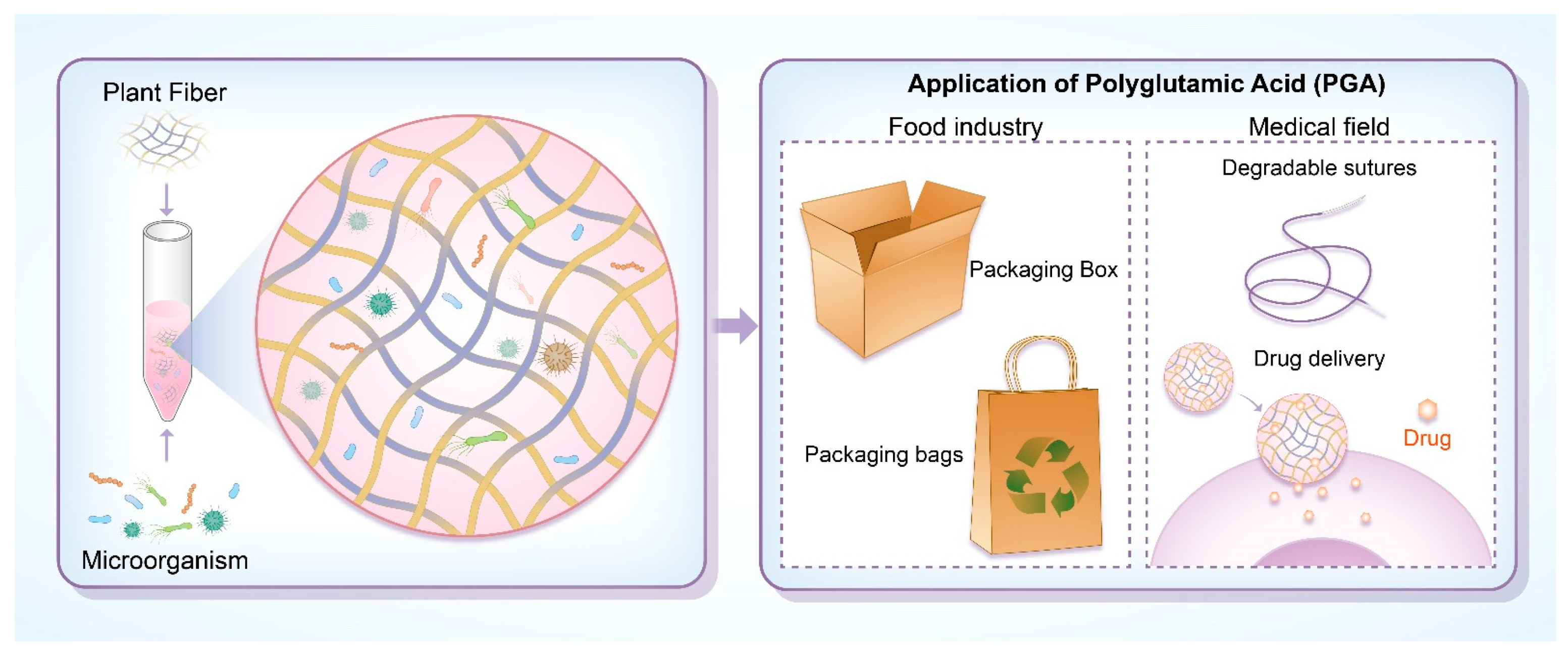 Review of the Synthesis and Degradation Mechanisms of Some ...