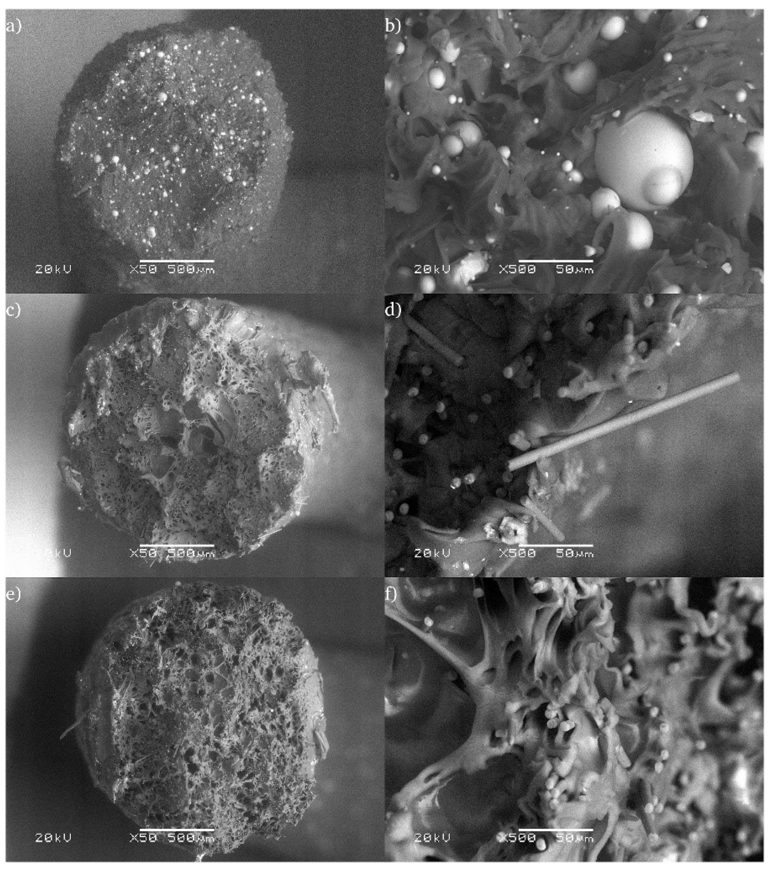 Comprehensive Review: Technological Approaches, Properties, and ...