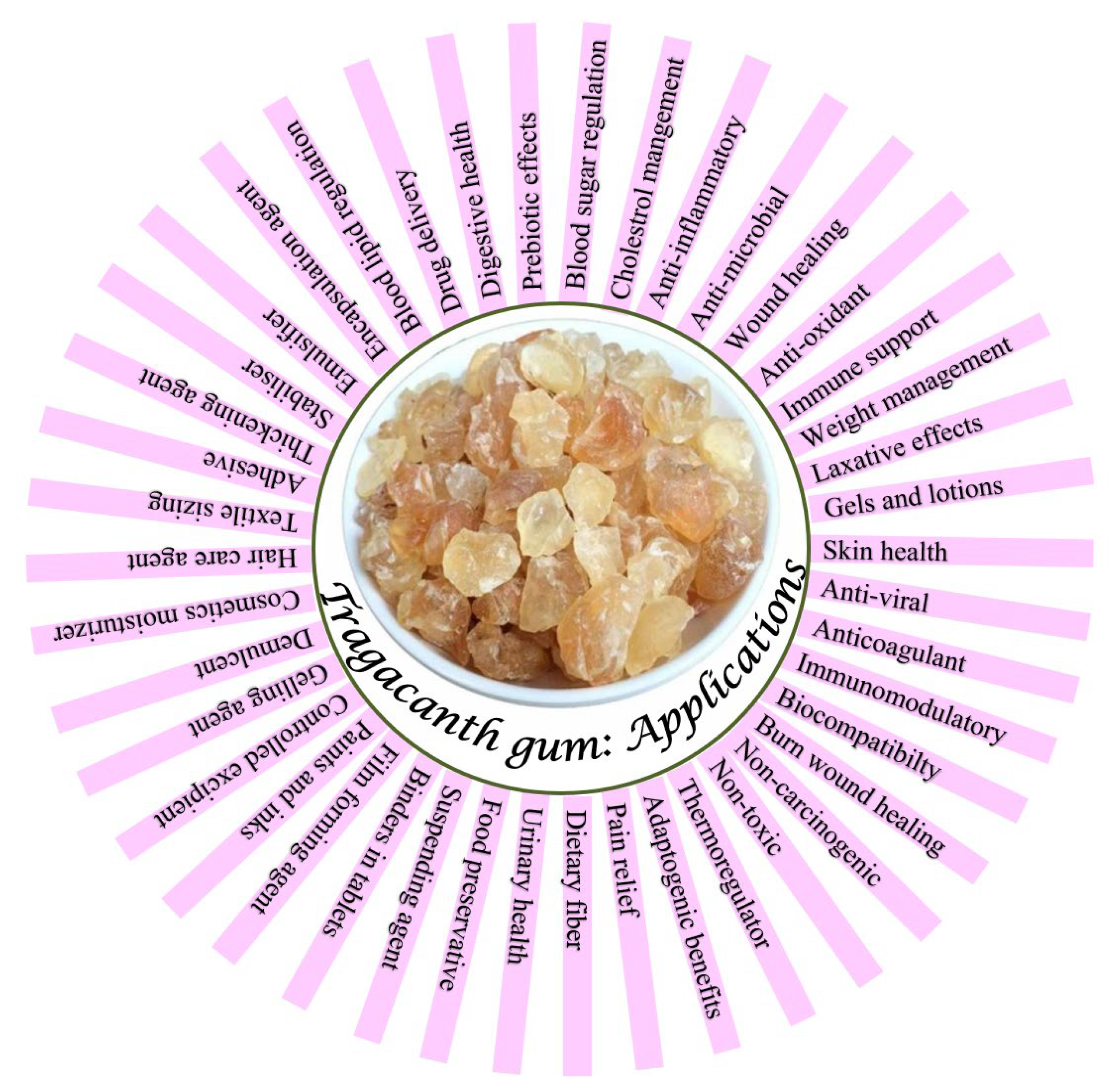 Plant-Based Polysaccharide Gums as Sustainable Bio-Polymers: Focus on ...