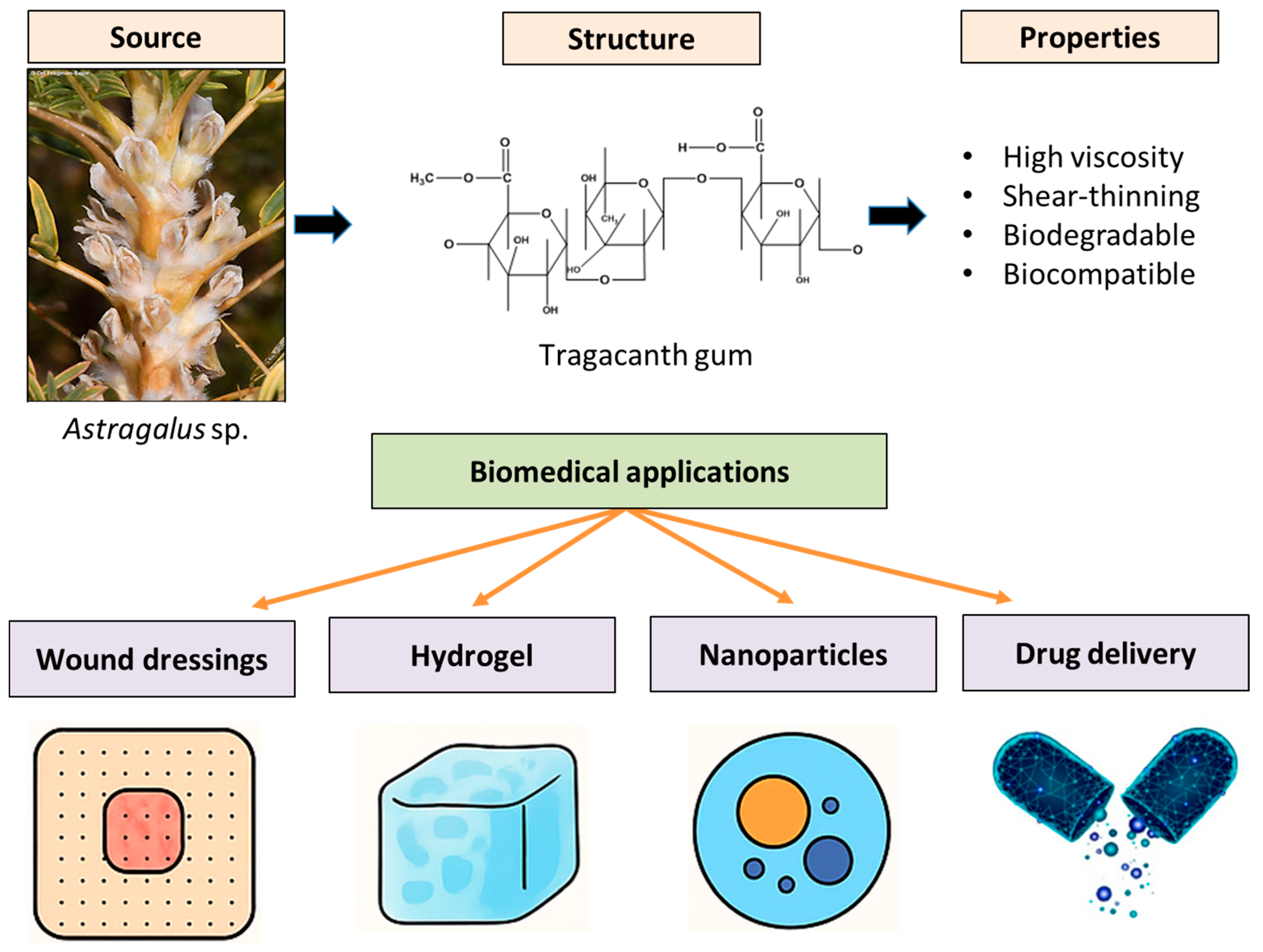 Plant-Based Polysaccharide Gums as Sustainable Bio-Polymers: Focus on ...