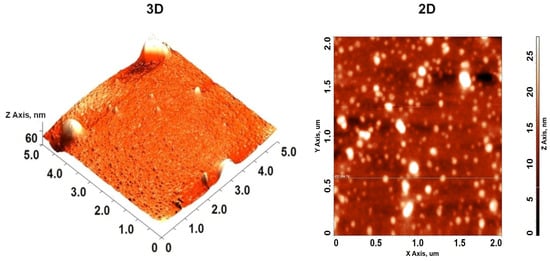 Developing Active Modified Starch-Based Films Incorporated with ...