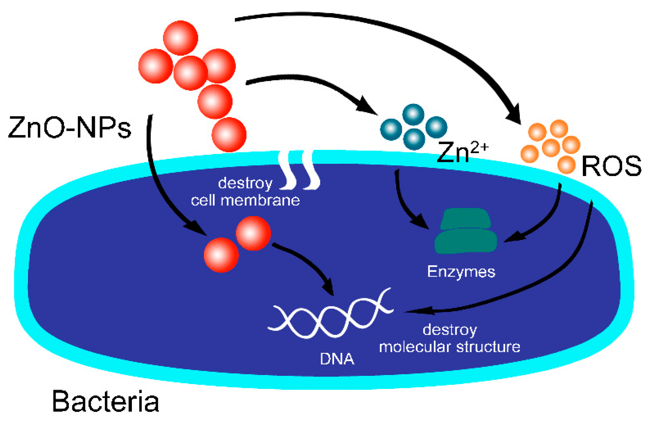 Zinc Oxide Nanoparticles: Synthesis, Characterization, Modification ...