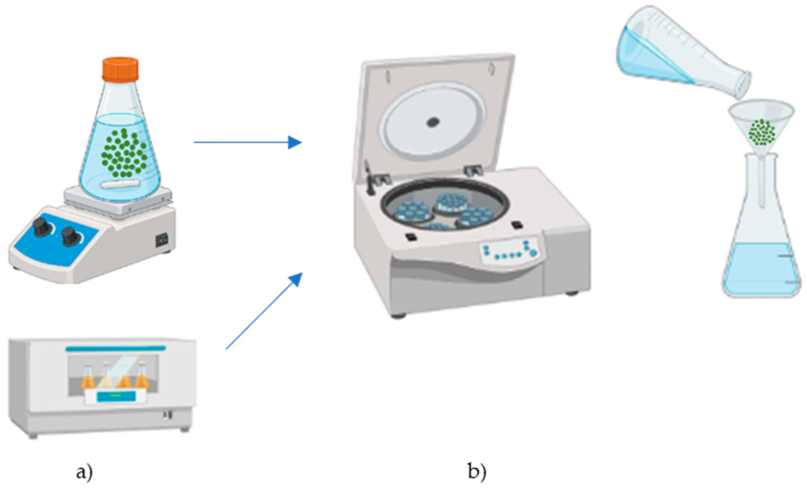 Green Extraction Techniques of Bioactive Compounds: A State-of-the-Art ...