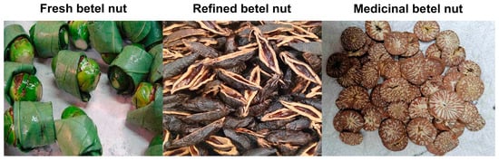Research Progress on Processing Technology of Refined Betel Nut in ...