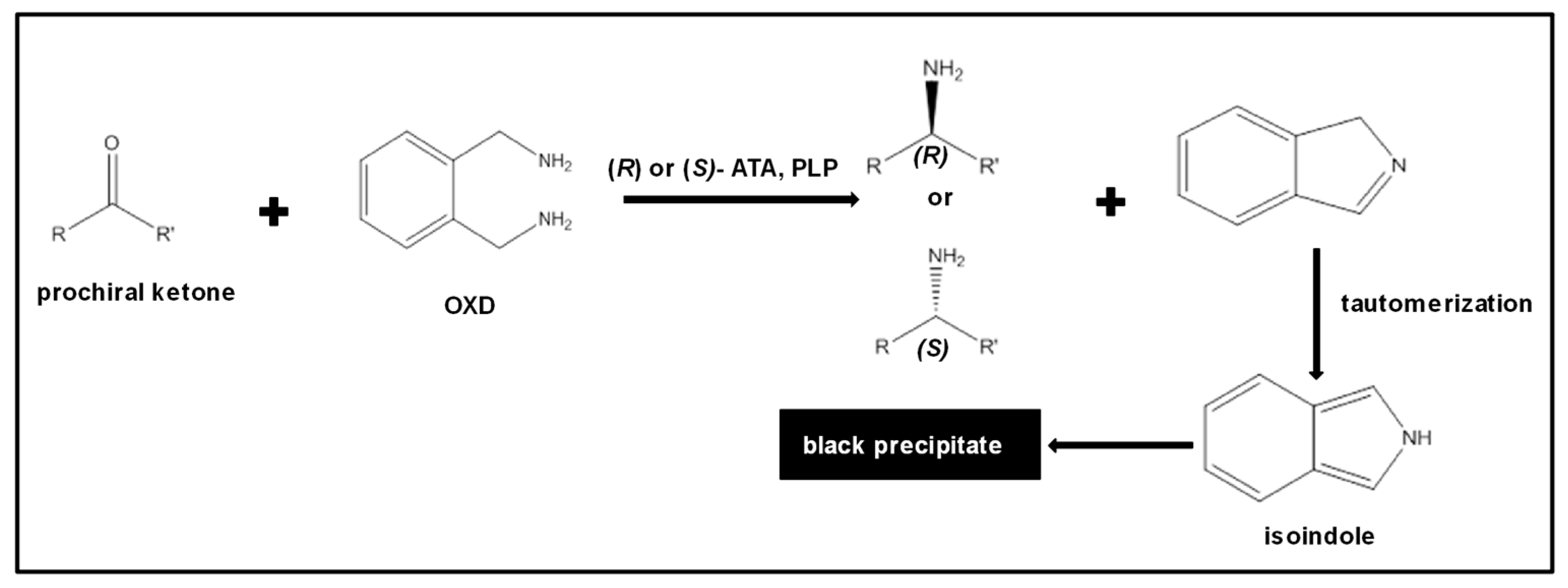 The Promising Role of Amine Transaminase Cascades in the Synthesis of ...