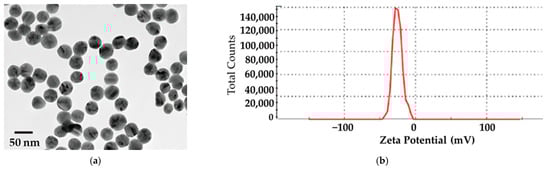 Bactericidal and Antineoplastic Properties of Phyto-Formulated Nano ...