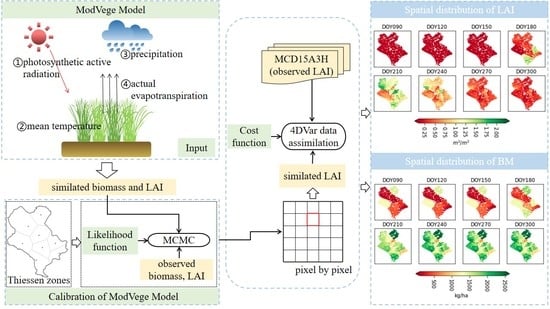 Grassland Aboveground Biomass Estimation through Assimilating Remote ...