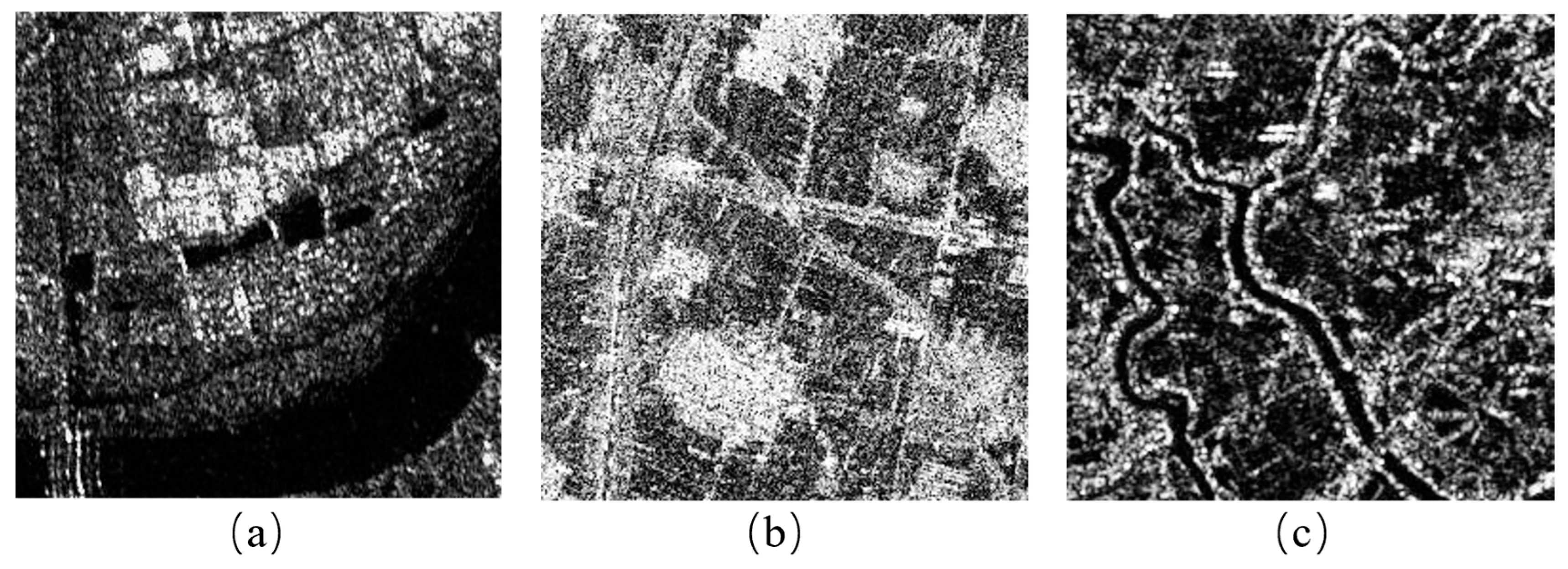 SAR Image Despeckling Based on Denoising Diffusion Probabilistic Model and Swin Transformer | MDPI