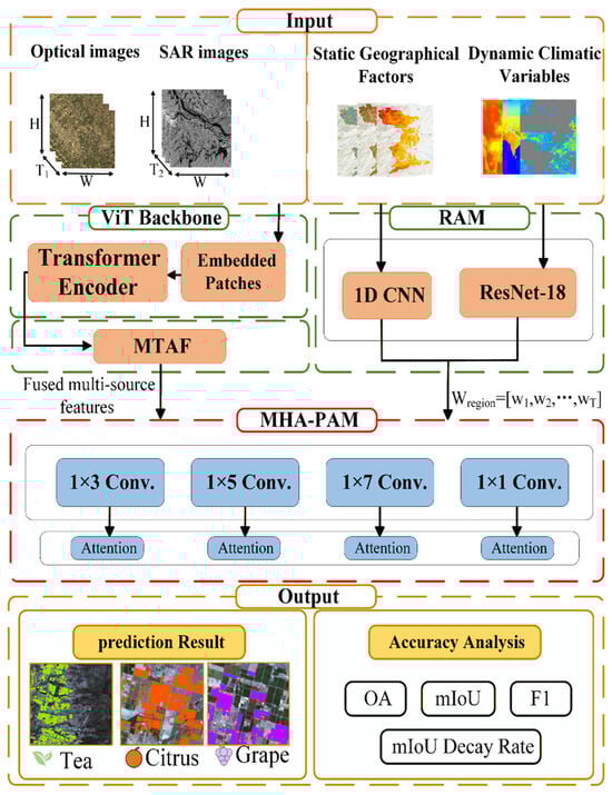 A Region-Adaptive Phenology-Aware Network for Perennial Cash Crop ...