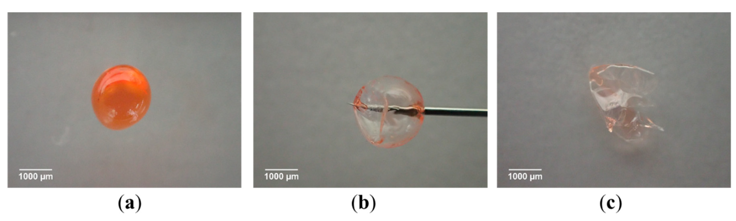 Microparticles, Microspheres, and Microcapsules for Advanced Drug ...