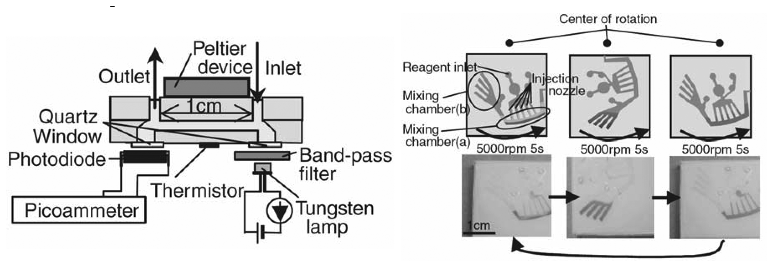Aspartate Aminotransferase (AST/GOT) and Alanine Aminotransferase (ALT ...