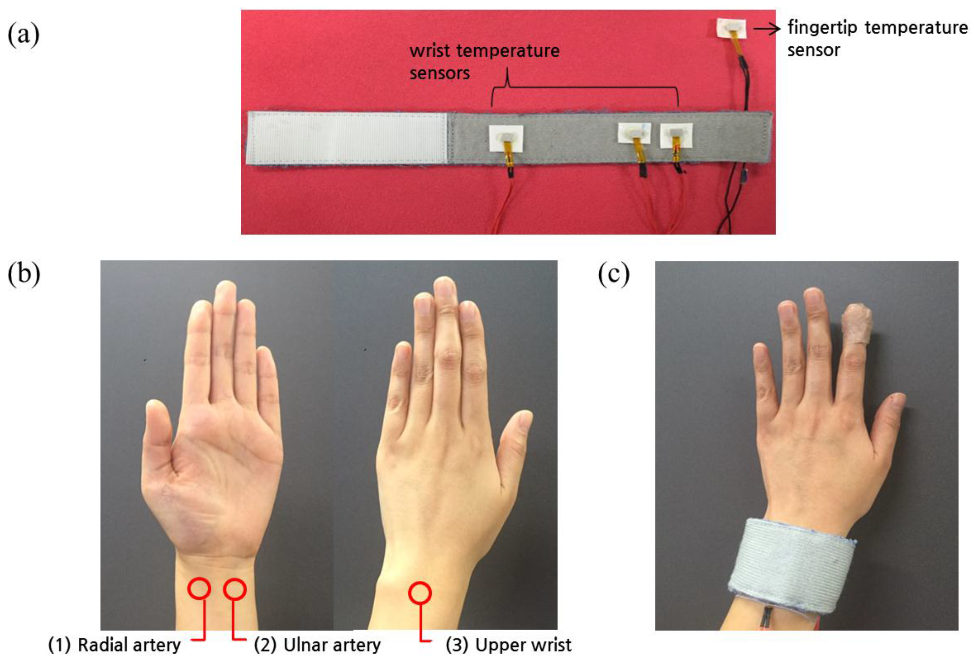 Estimation of Thermal Sensation Based on Wrist Skin Temperatures | MDPI