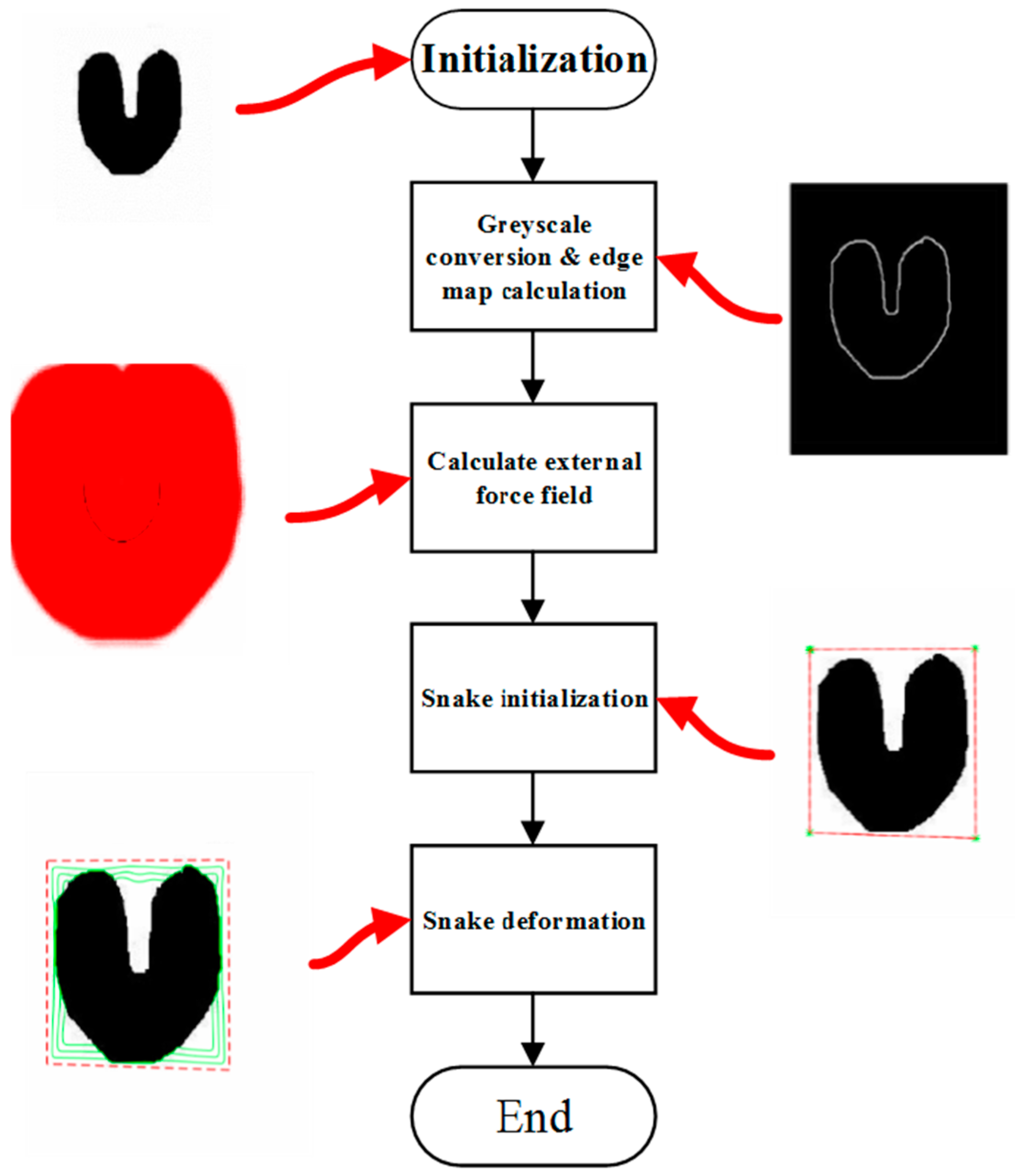 A Novel Gradient Vector Flow Snake Model Based on Convex Function for ...