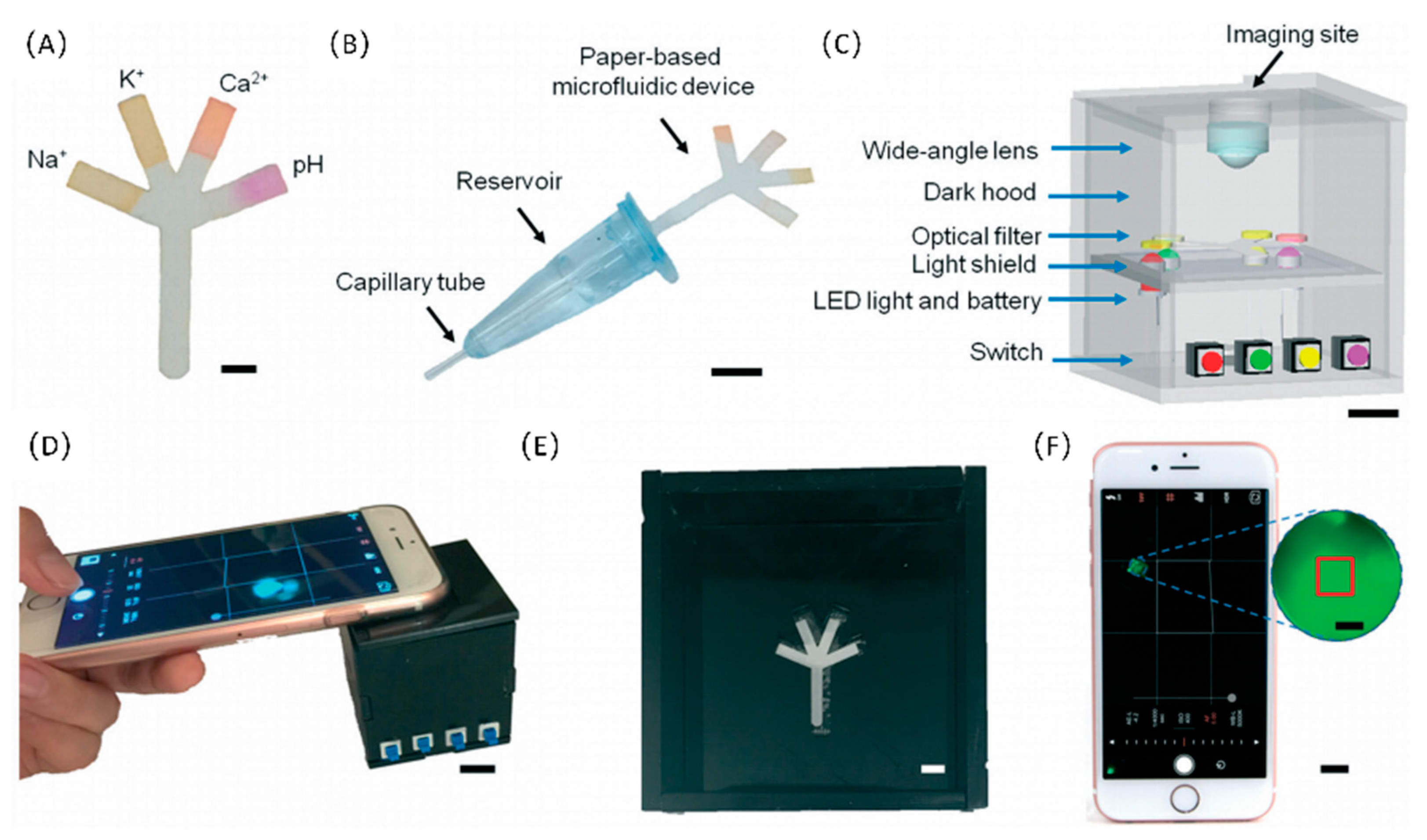Microfluidic Point-of-Care (POC) Devices in Early Diagnosis: A Review ...